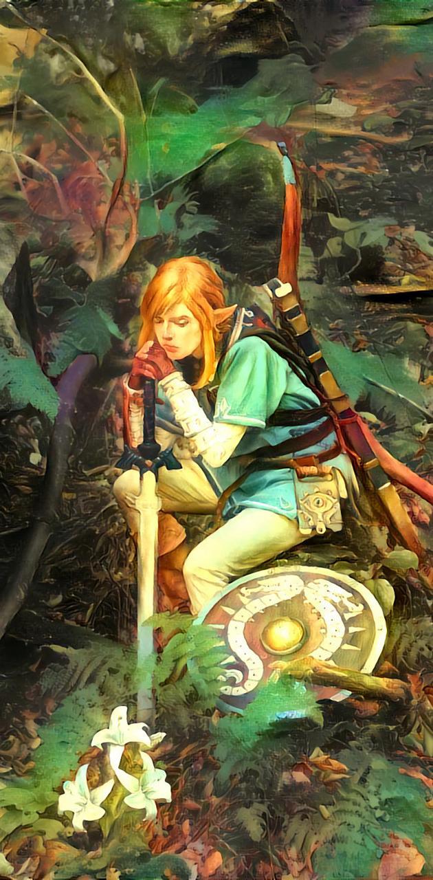 Link Botw Wallpapers - Top Free Link Botw Backgrounds - WallpaperAccess