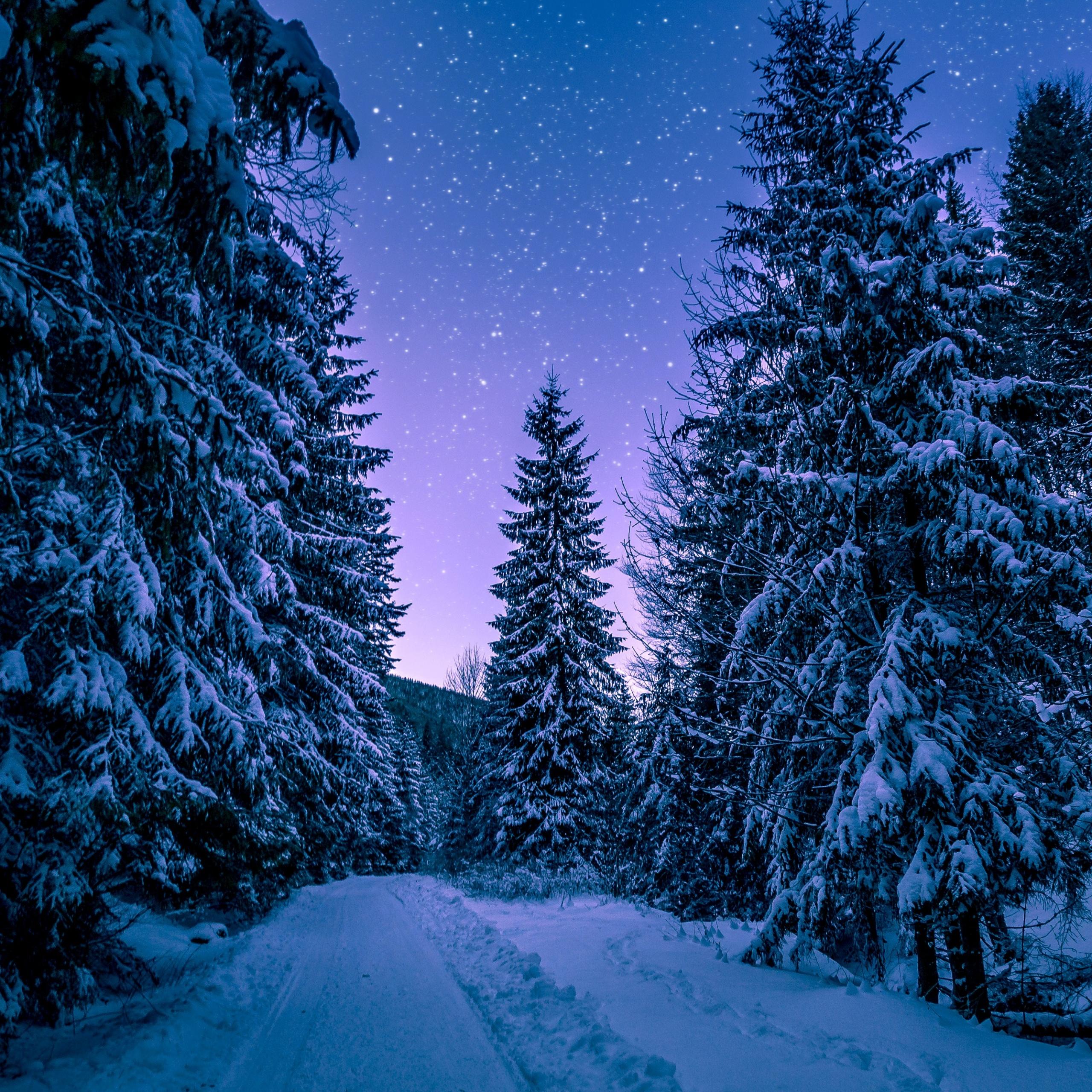 Cold Night Wallpapers - Top Free Cold Night Backgrounds - WallpaperAccess