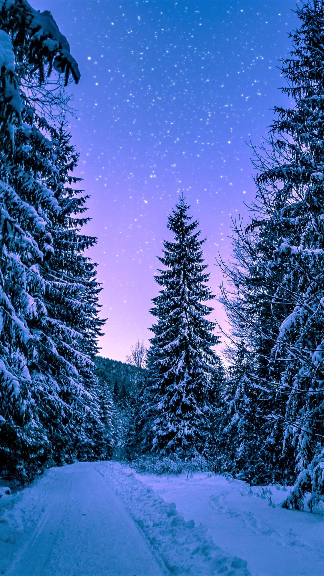 Cold Night Wallpapers - Top Free Cold Night Backgrounds - WallpaperAccess