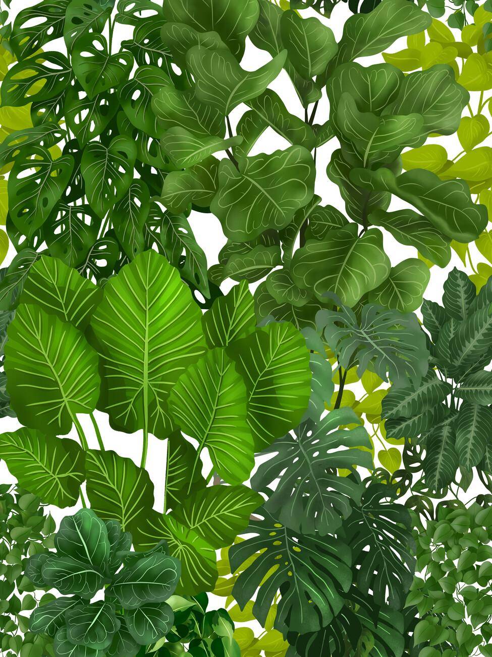 Urban Jungle Wallpapers - Top Free Urban Jungle Backgrounds ...