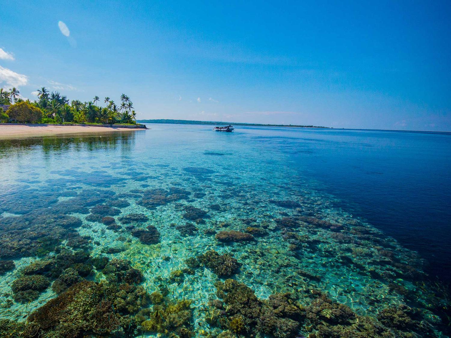 Wakatobi Wallpapers - Top Free Wakatobi Backgrounds - WallpaperAccess