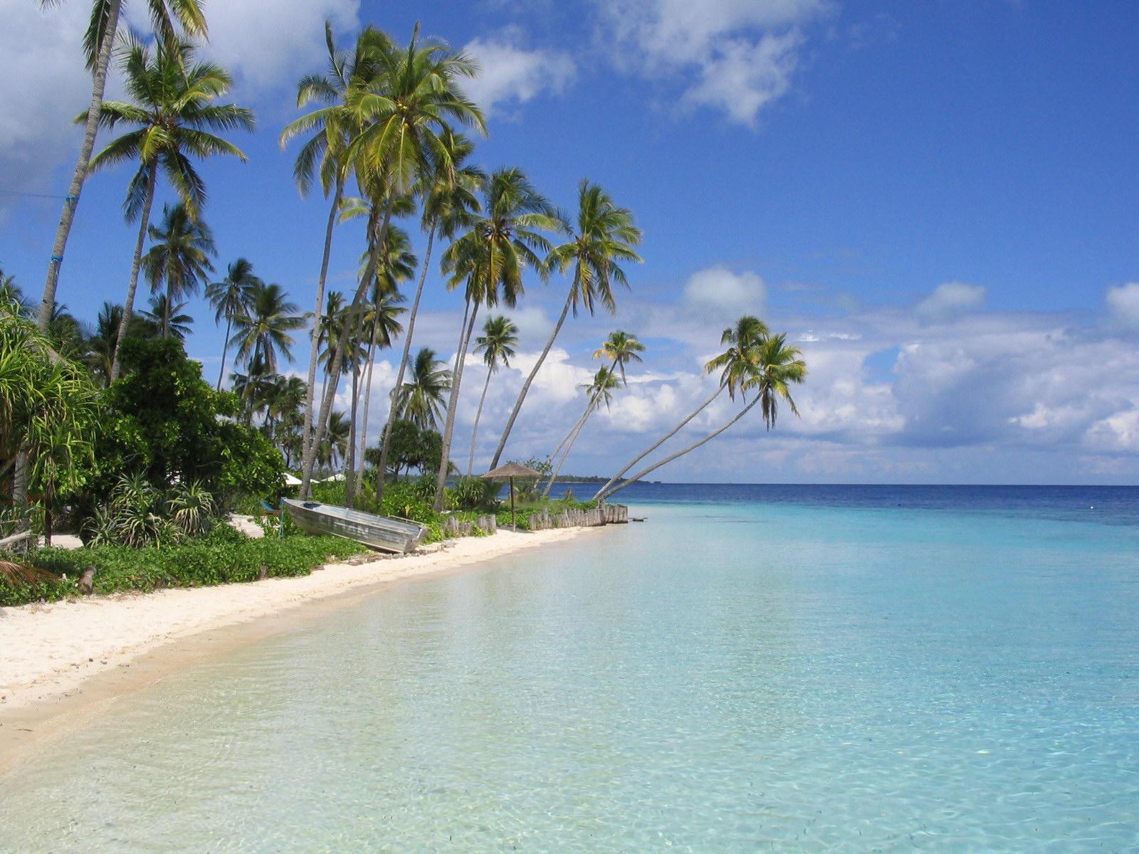 Wakatobi Wallpapers - Top Free Wakatobi Backgrounds - WallpaperAccess