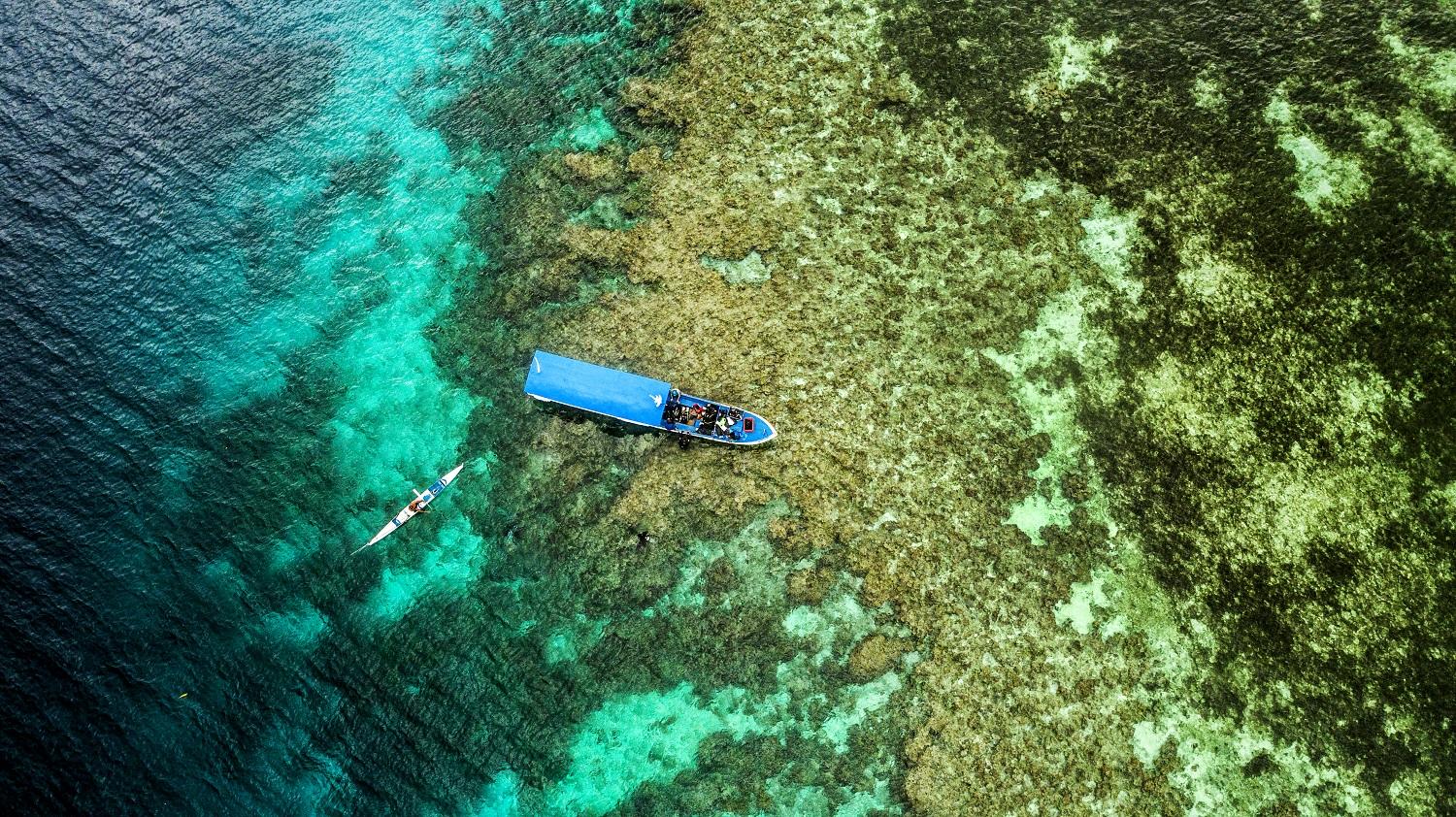 Wakatobi Wallpapers - Top Free Wakatobi Backgrounds - WallpaperAccess