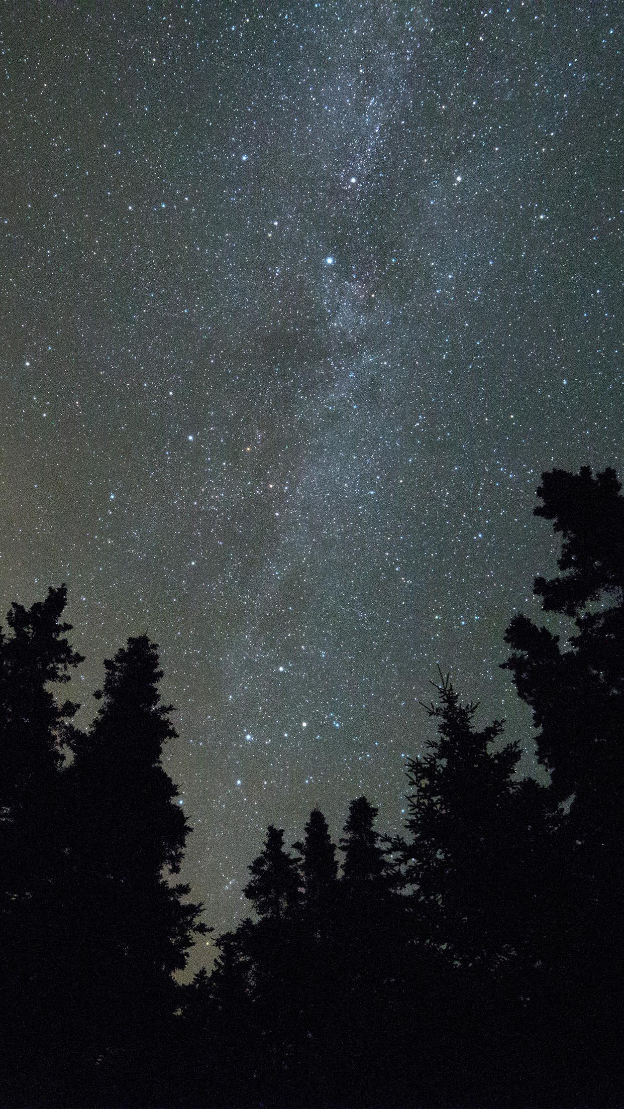 Galaxy Night Wallpapers - Top Free Galaxy Night Backgrounds ...