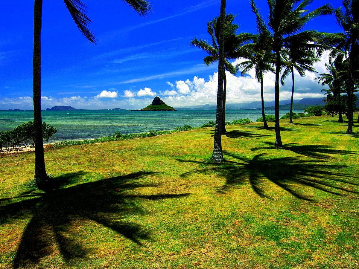 Nature Hawaii Wallpapers - Top Free Nature Hawaii Backgrounds ...