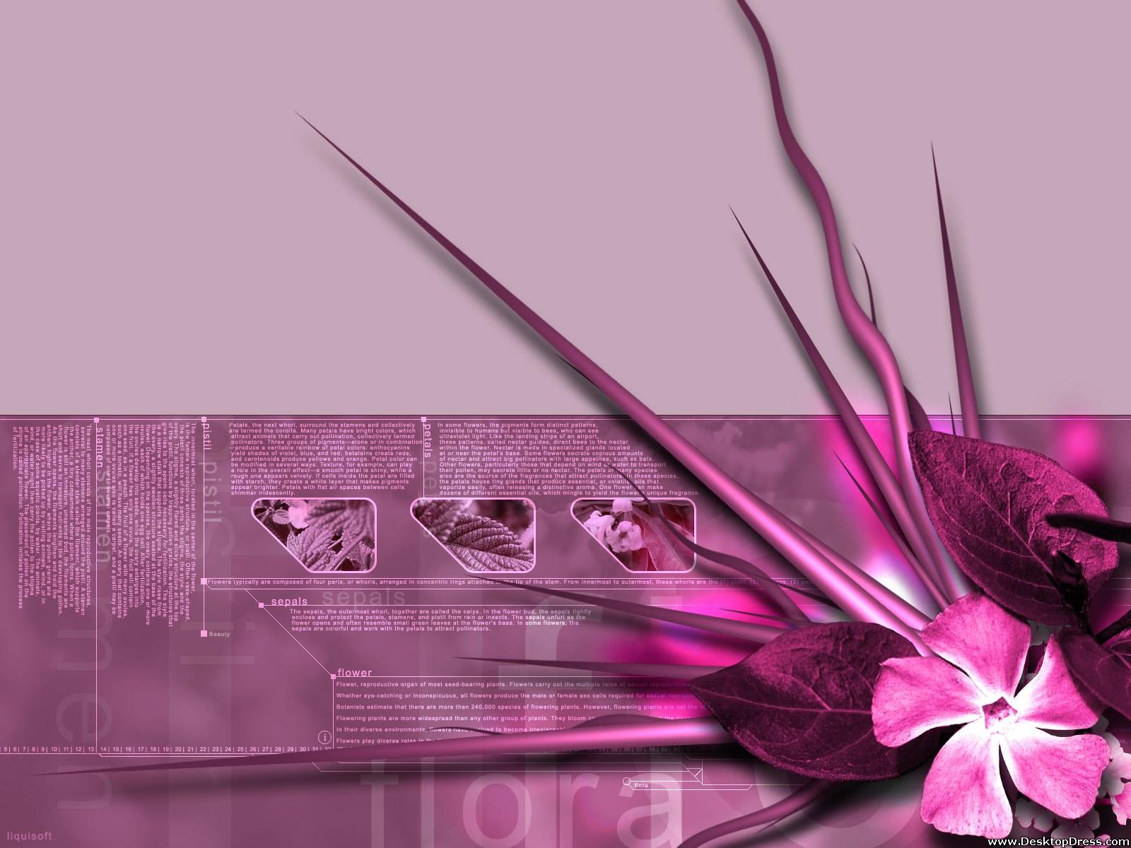 Pink Theme Wallpapers - Top Free Pink Theme Backgrounds - WallpaperAccess