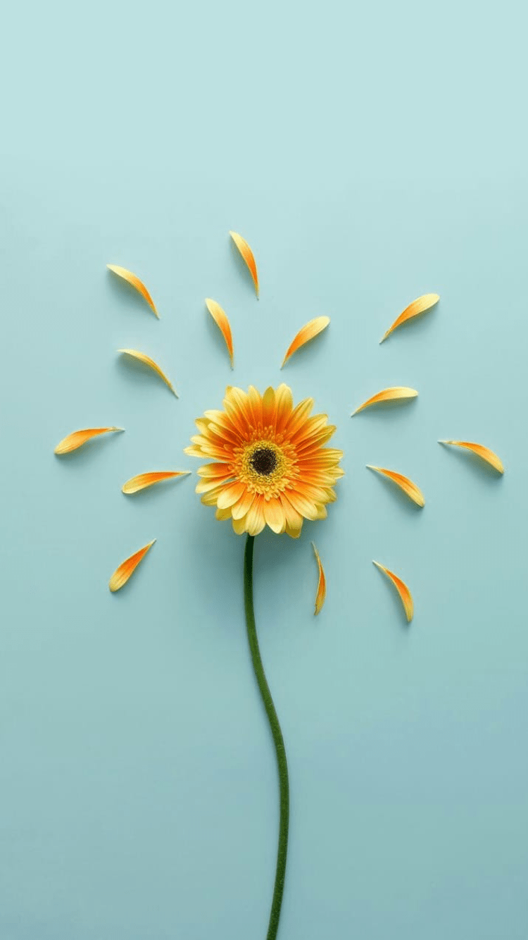 Blue Sunflower Wallpapers - Top Free Blue Sunflower Backgrounds ...