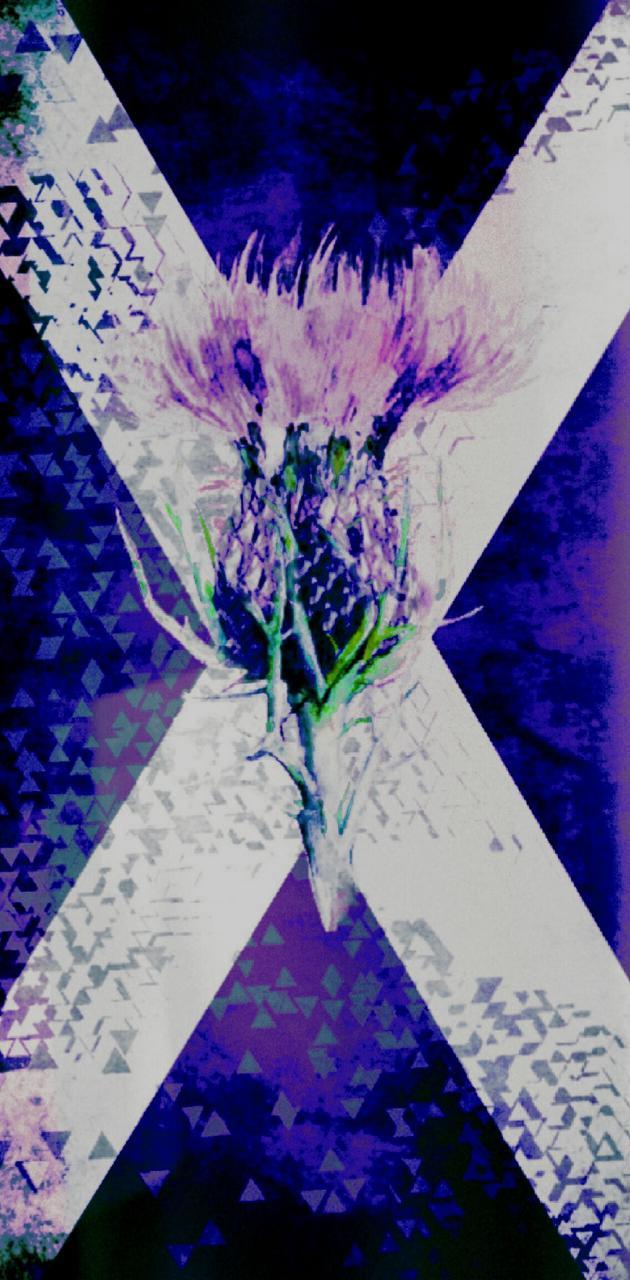 Scotland Flag iPhone Wallpapers - Top Free Scotland Flag iPhone ...