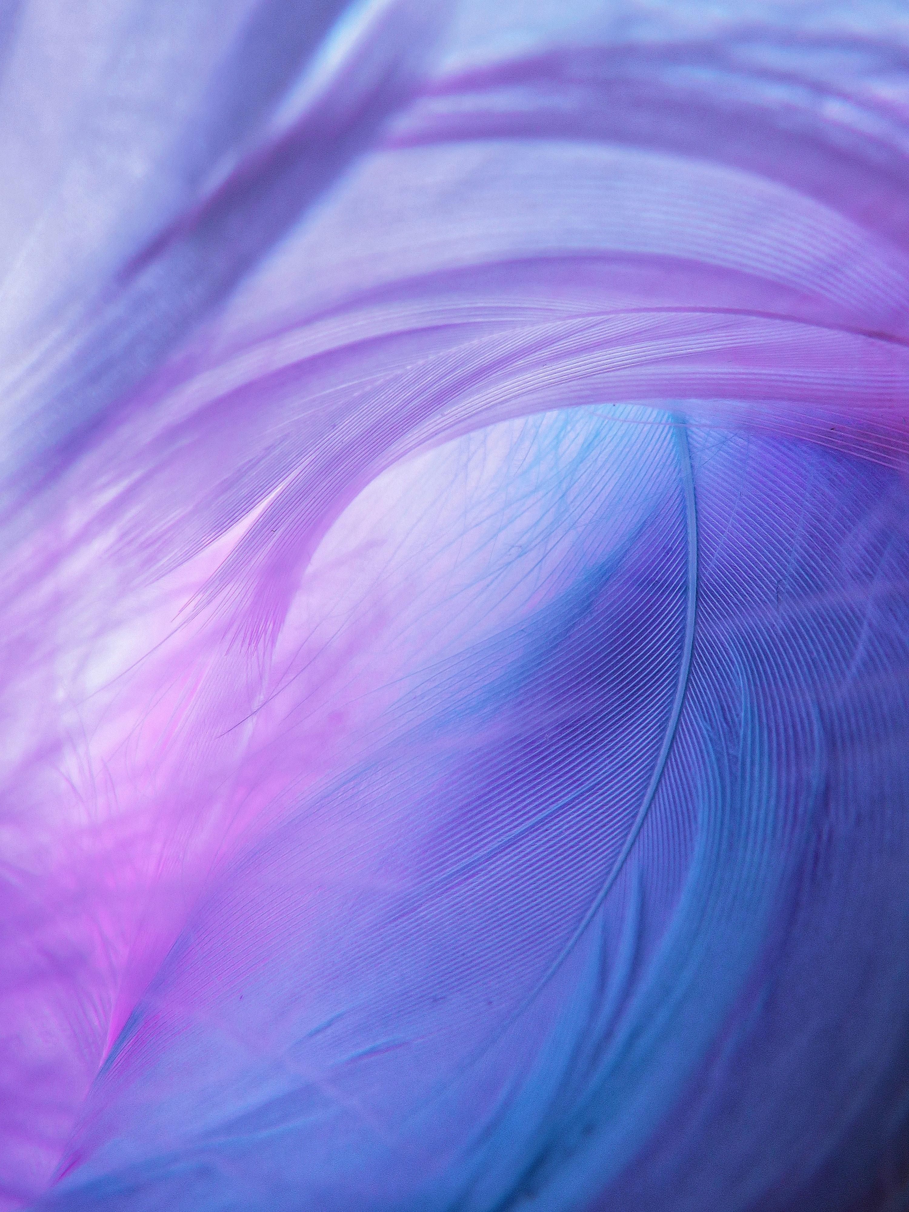 Purple Portrait Wallpapers - Top Free Purple Portrait Backgrounds ...