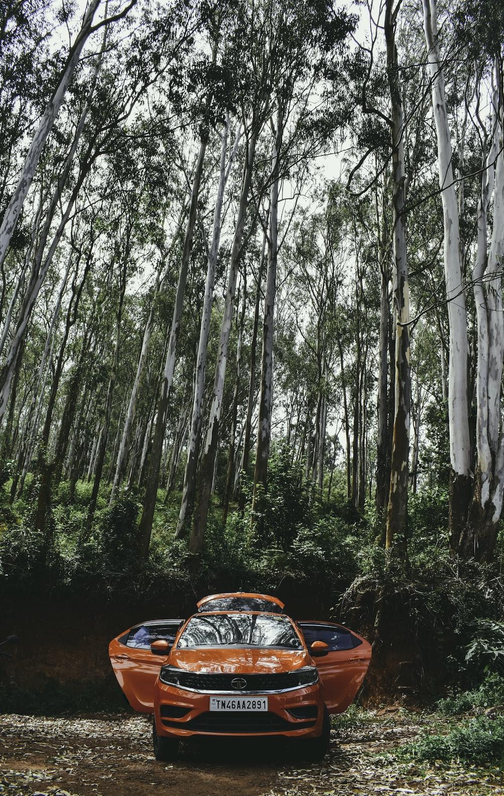 Tata Car Wallpapers - Top Free Tata Car Backgrounds - WallpaperAccess