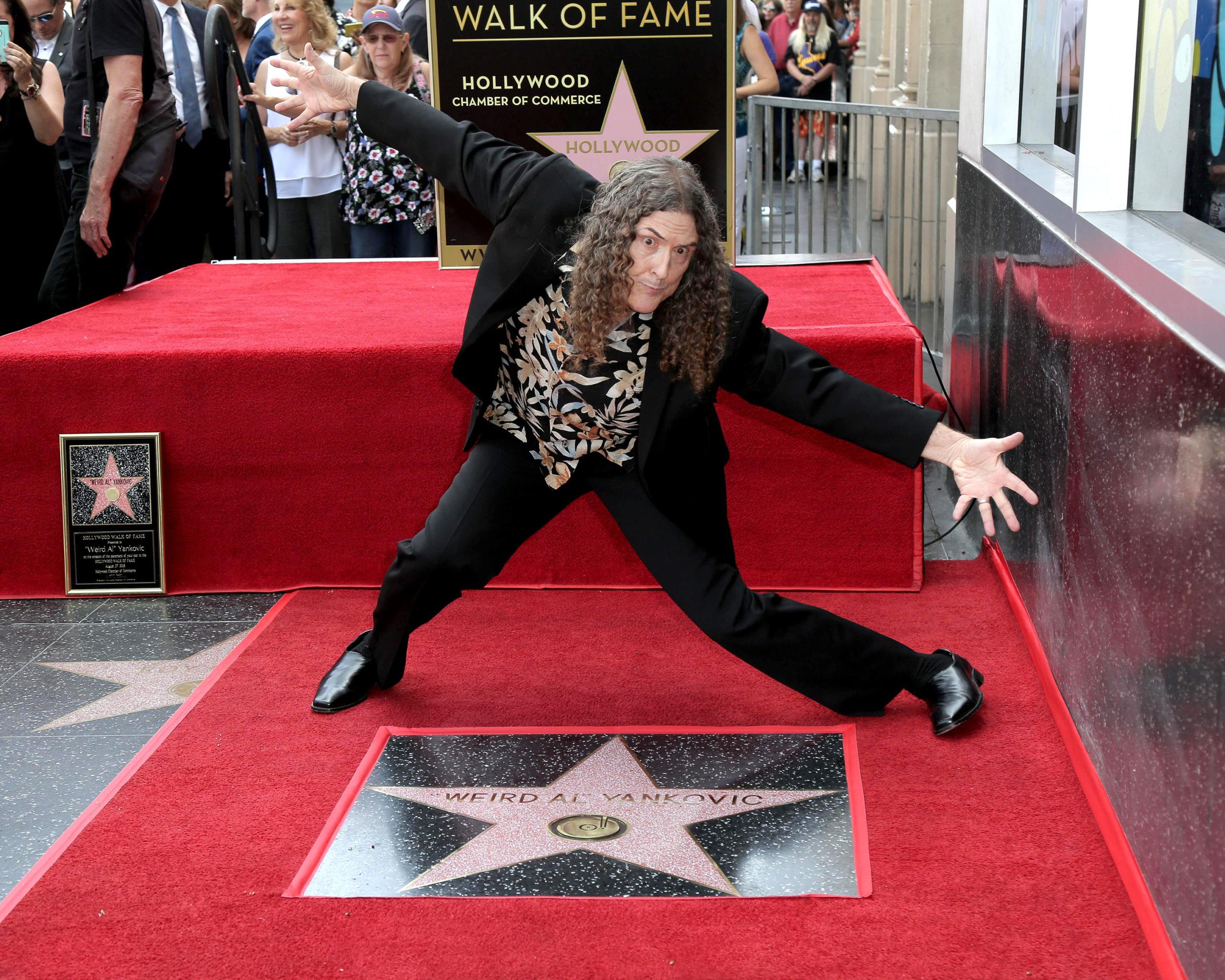 Weird Al Wallpapers - Top Free Weird Al Backgrounds - WallpaperAccess