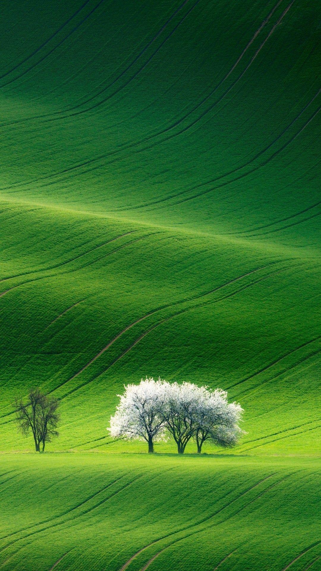 Landscape Mobile Wallpapers - Top Free Landscape Mobile Backgrounds ...
