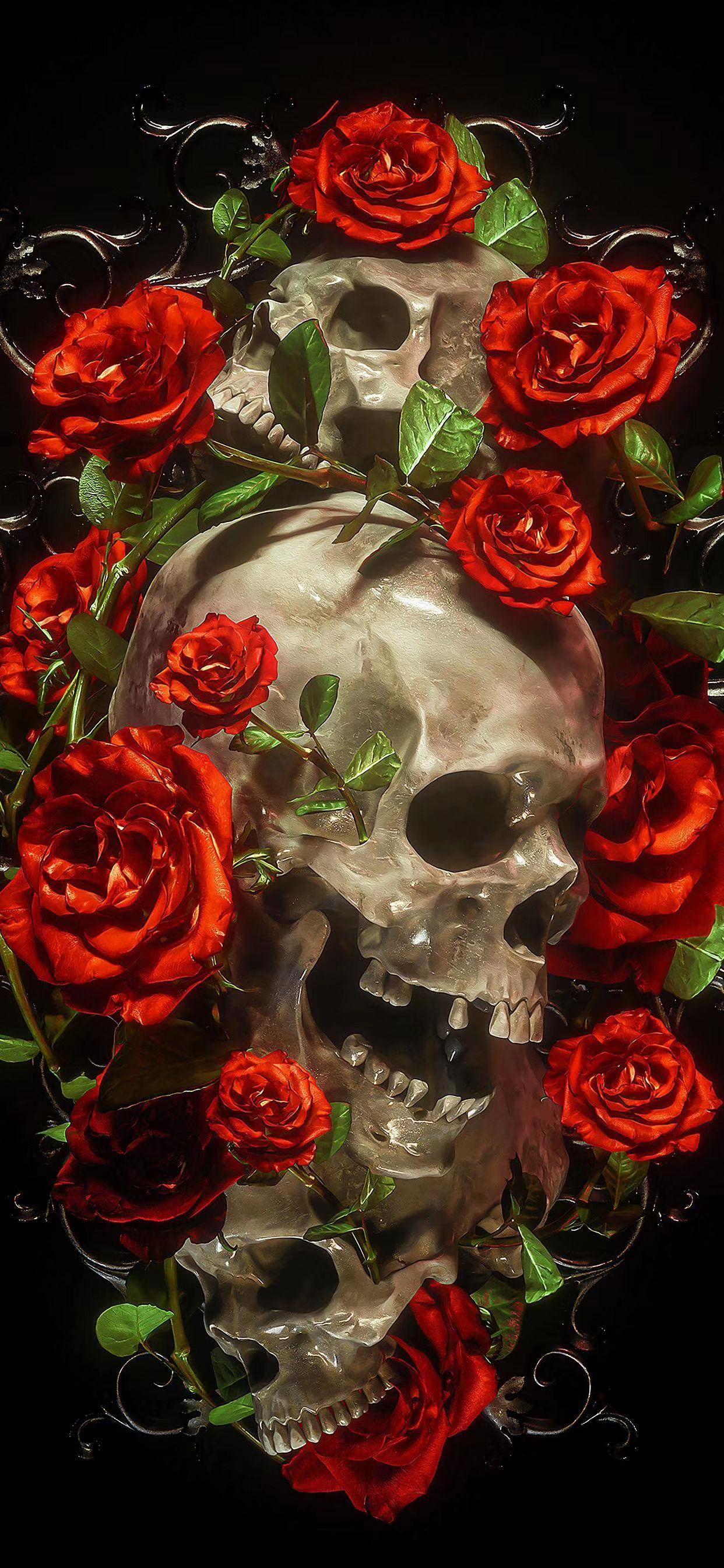 Skull Rose Wallpapers - Top Free Skull Rose Backgrounds - WallpaperAccess