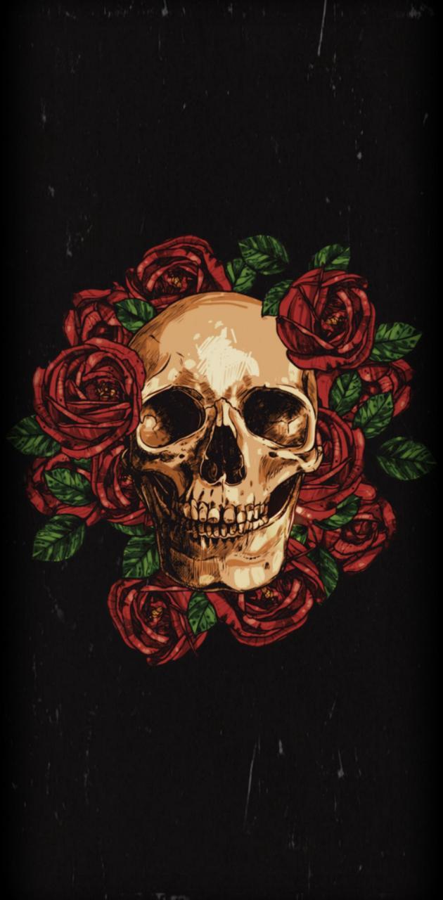 Skull Rose Wallpapers - Top Free Skull Rose Backgrounds - WallpaperAccess