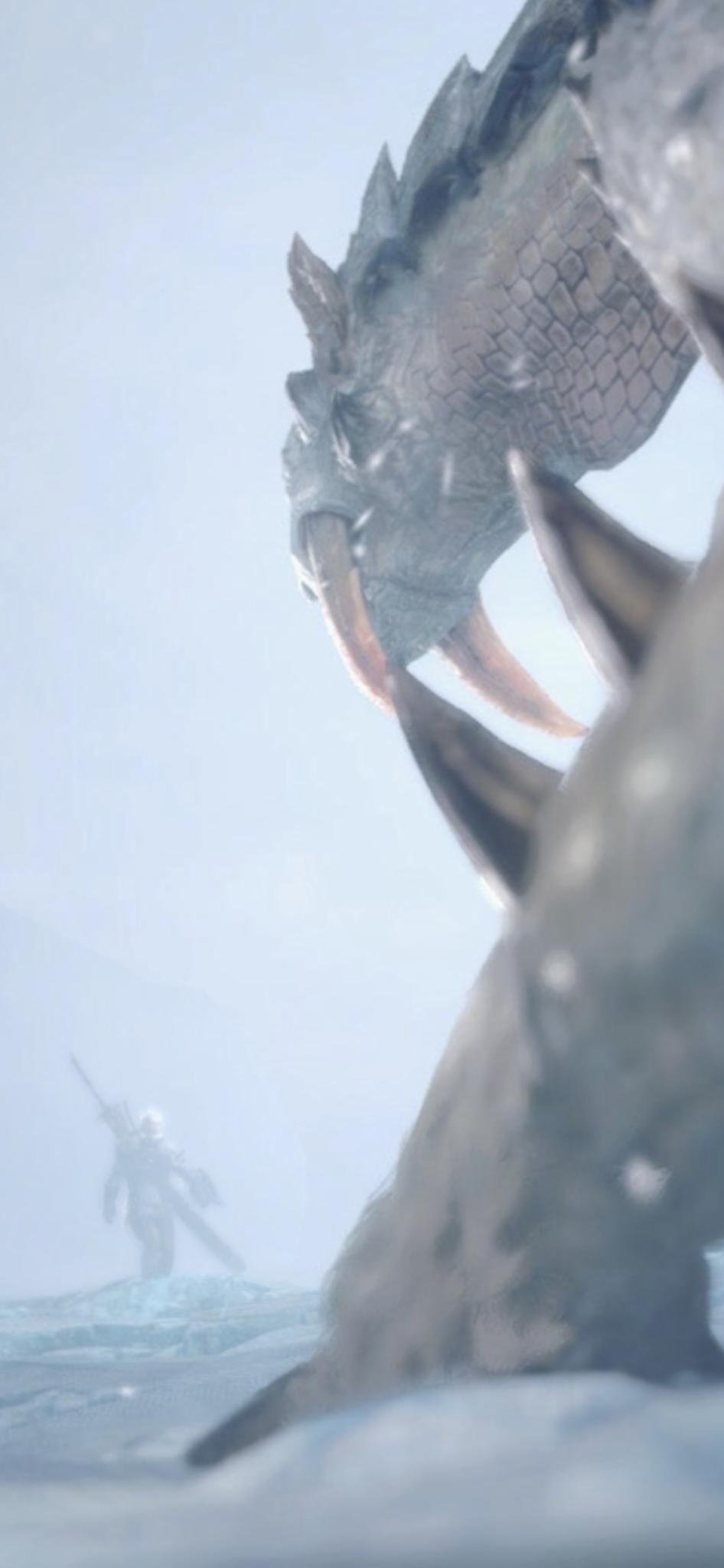 Barioth Wallpapers - Top Free Barioth Backgrounds - WallpaperAccess