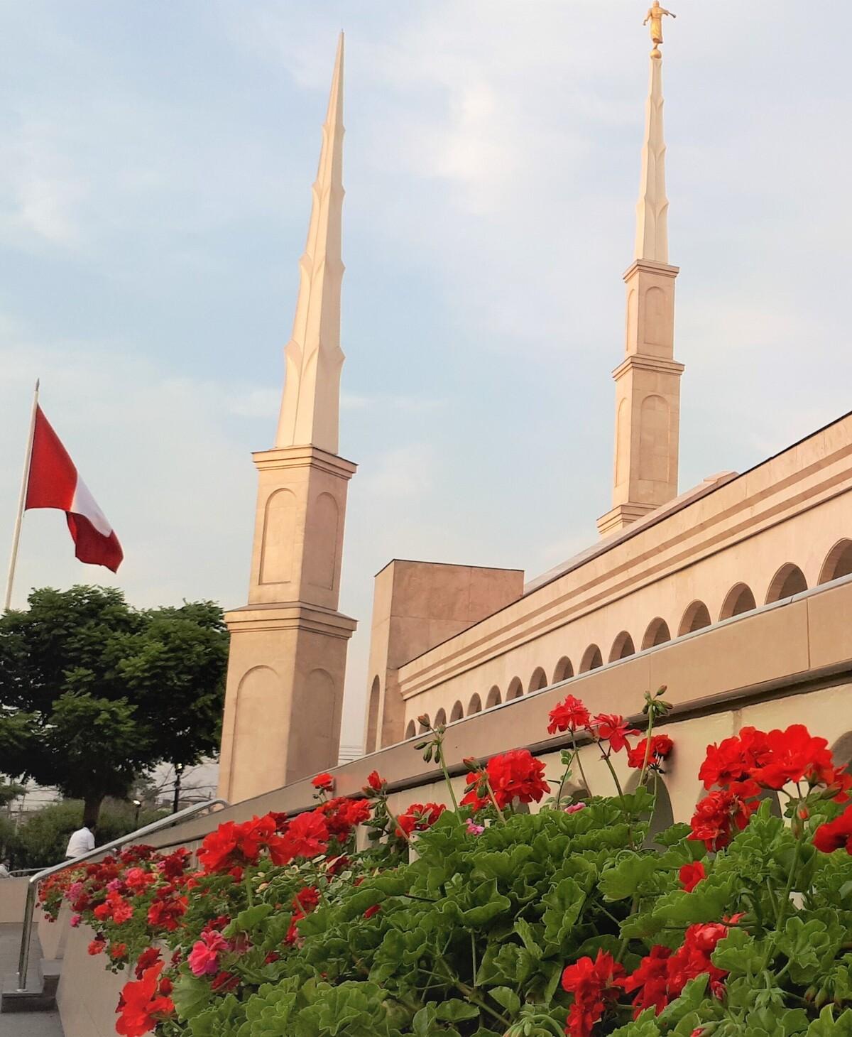 Lima Peru Wallpapers - Top Free Lima Peru Backgrounds - WallpaperAccess