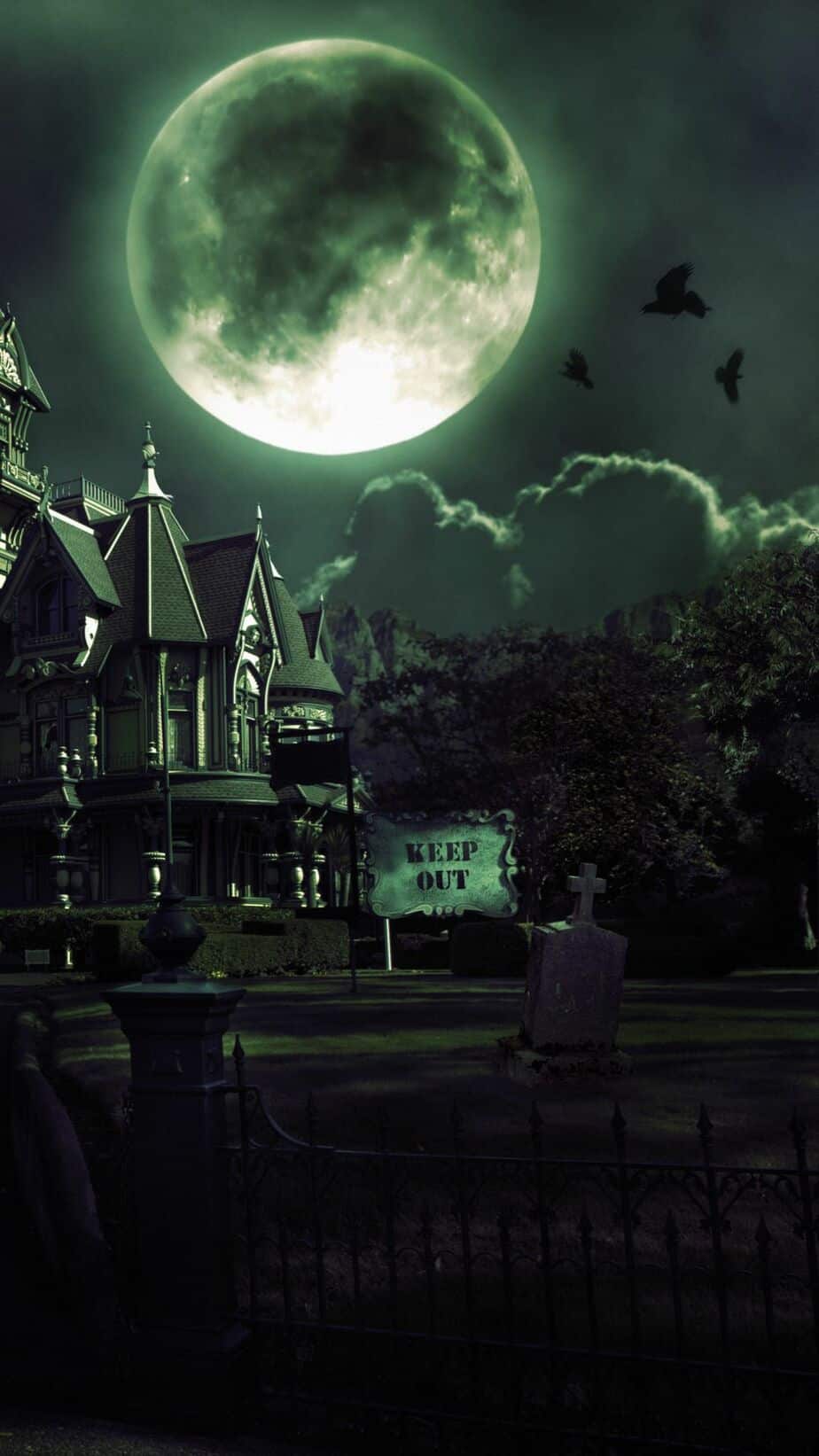 Full Moon Halloween Wallpapers - Top Free Full Moon Halloween ...