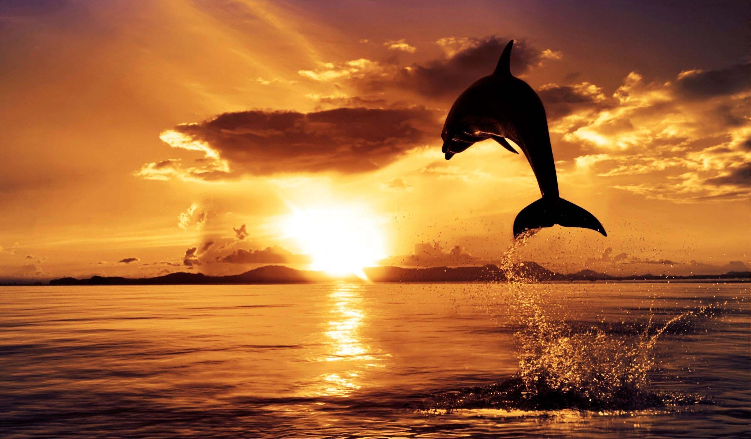 Real Sunset Wallpapers - Top Free Real Sunset Backgrounds - WallpaperAccess