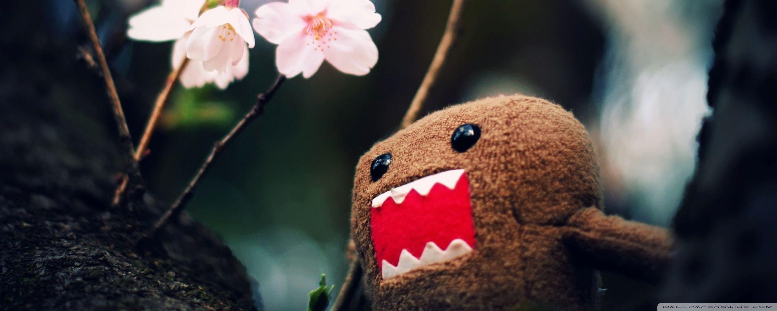 Domo Wallpapers - Top Free Domo Backgrounds - WallpaperAccess