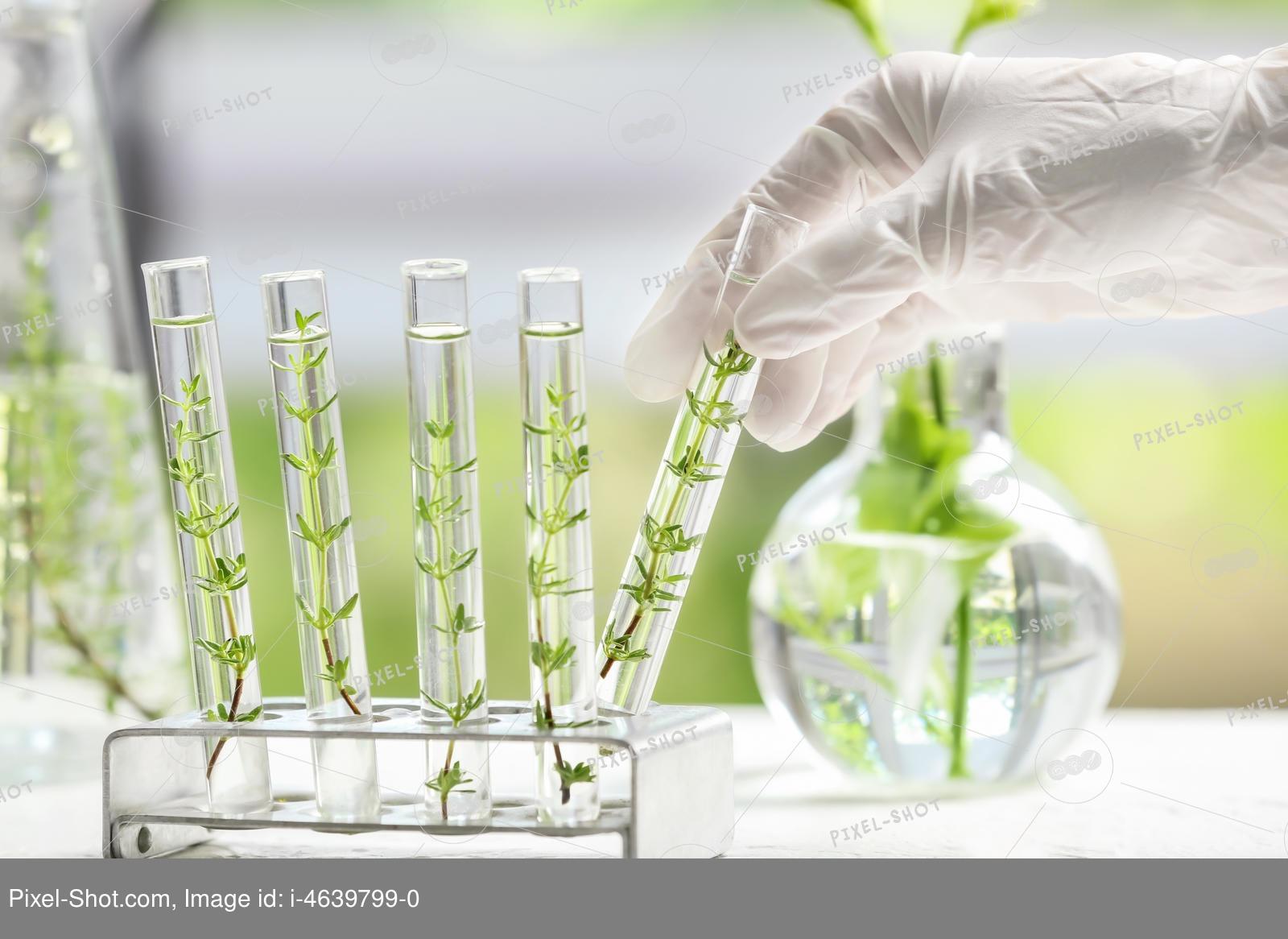 Test Tubes Wallpapers - Top Free Test Tubes Backgrounds - WallpaperAccess