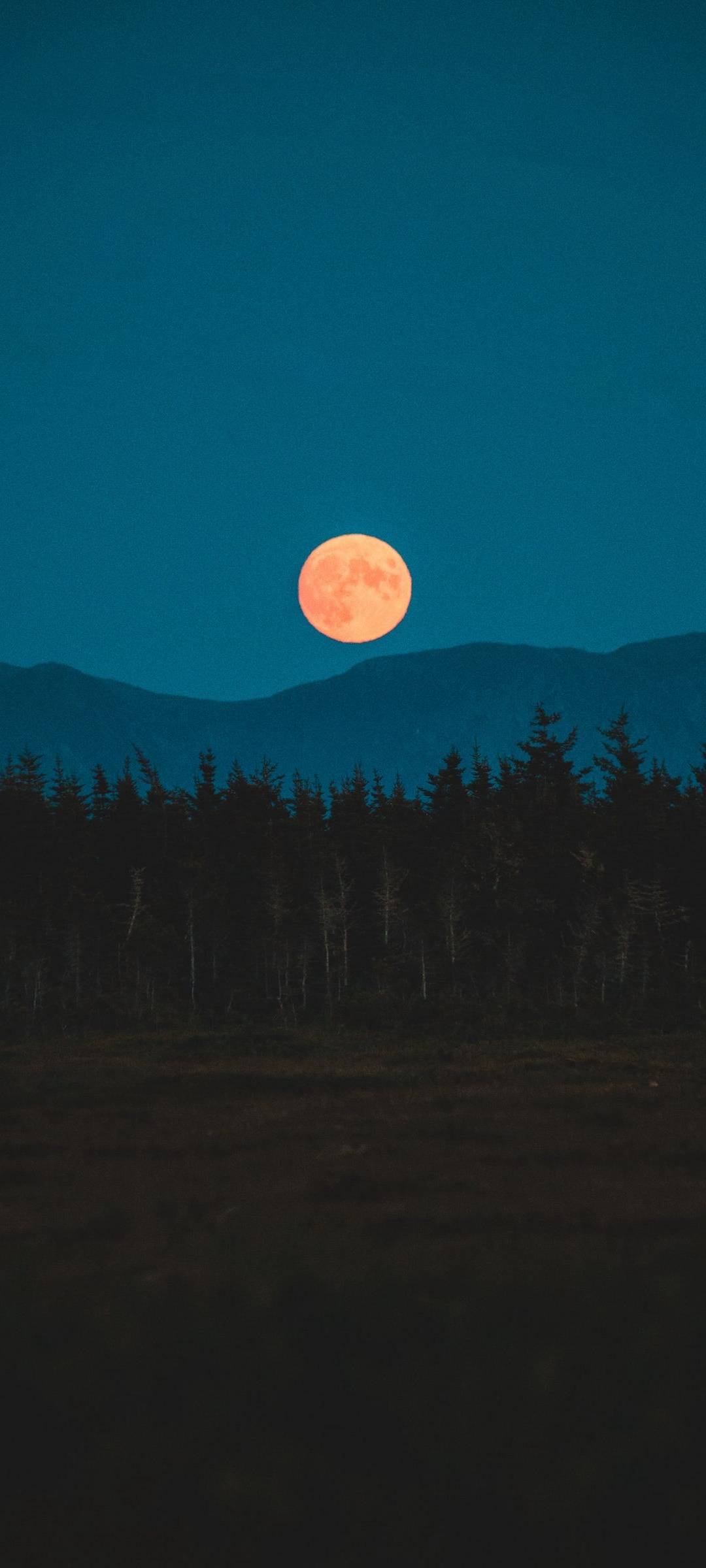Blue Sky Moon Wallpapers - Top Free Blue Sky Moon Backgrounds ...