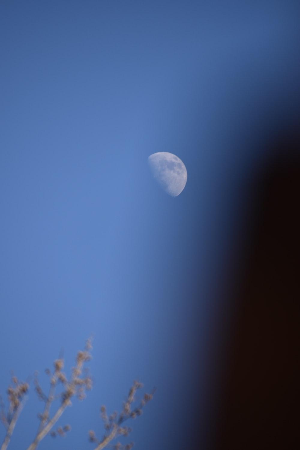 Blue Sky Moon Wallpapers - Top Free Blue Sky Moon Backgrounds ...