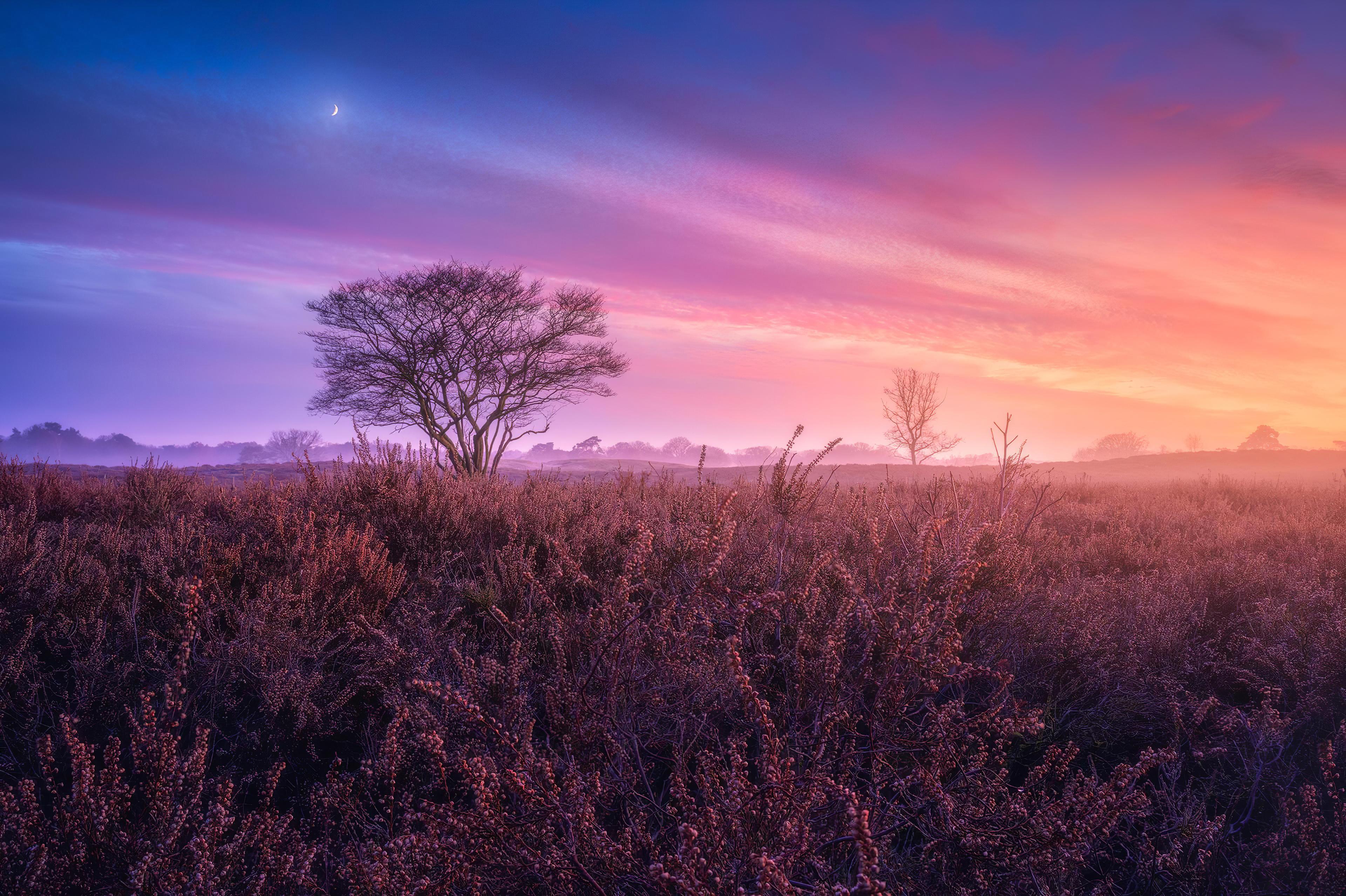 Alone Sunset Wallpapers - Top Free Alone Sunset Backgrounds ...