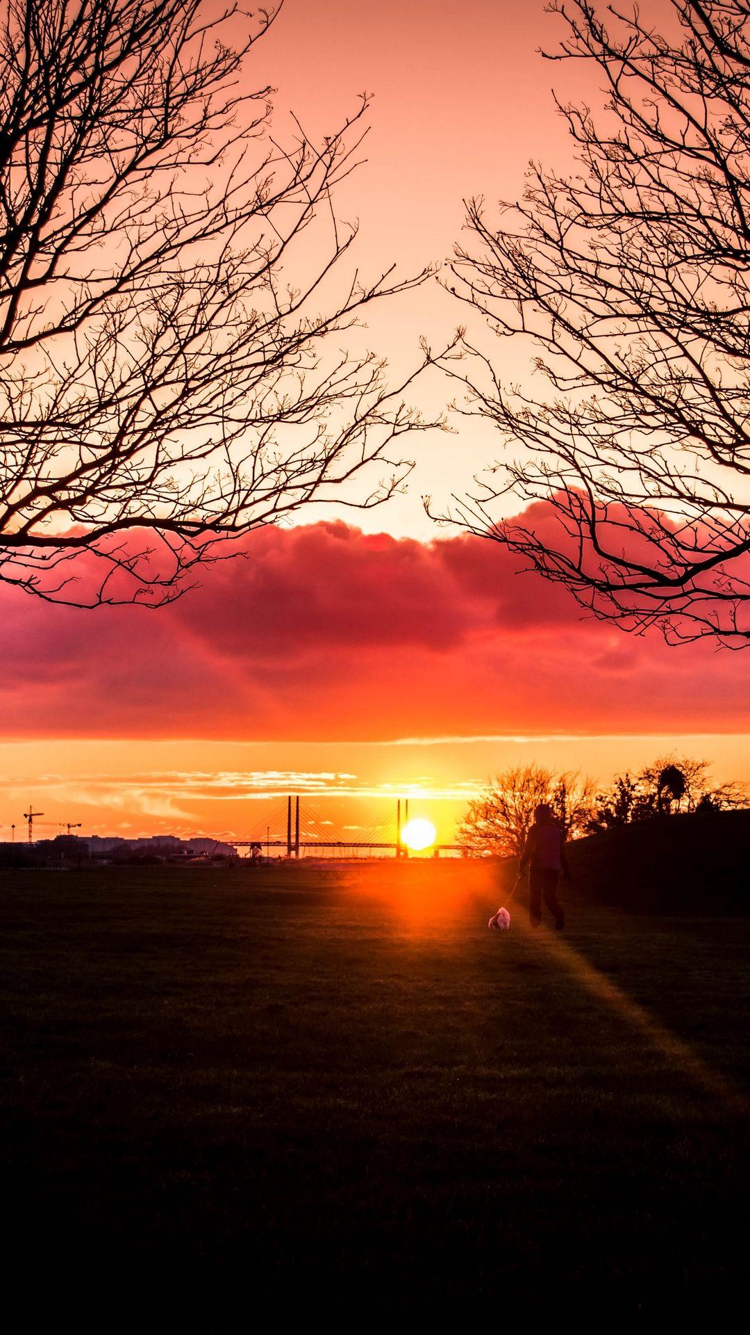 Alone Sunset Wallpapers - Top Free Alone Sunset Backgrounds ...