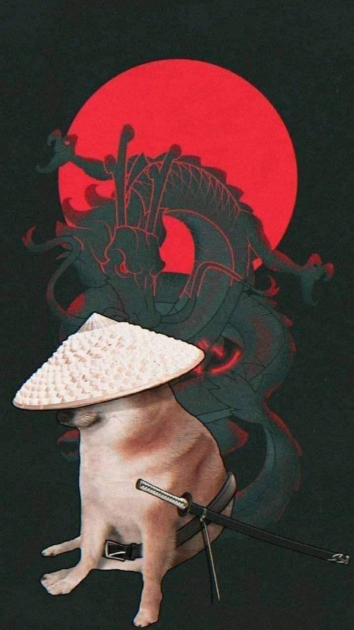 Cheems Samurai Wallpapers - Top Free Cheems Samurai Backgrounds ...