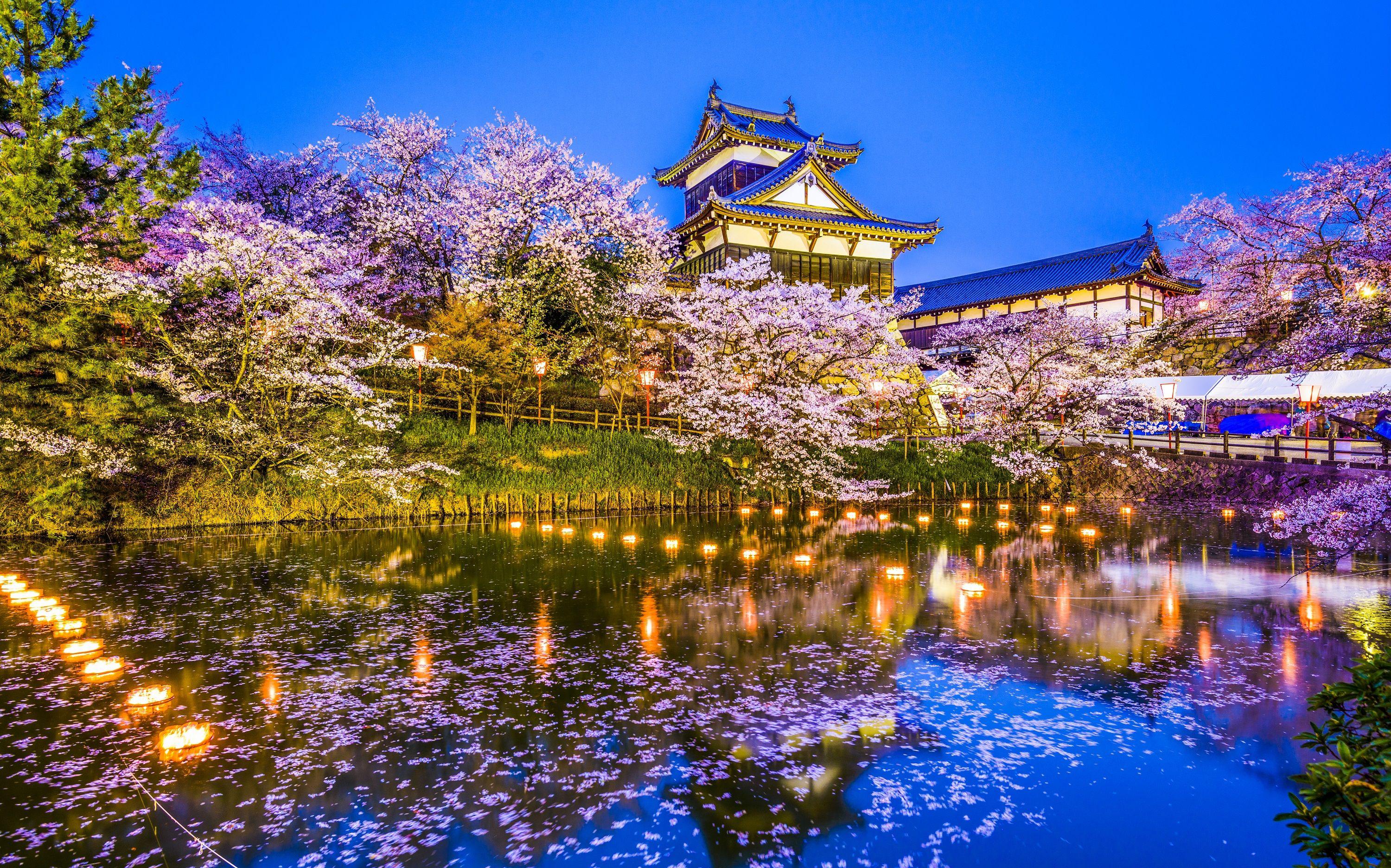 Nara Japan Wallpapers - Top Free Nara Japan Backgrounds - WallpaperAccess