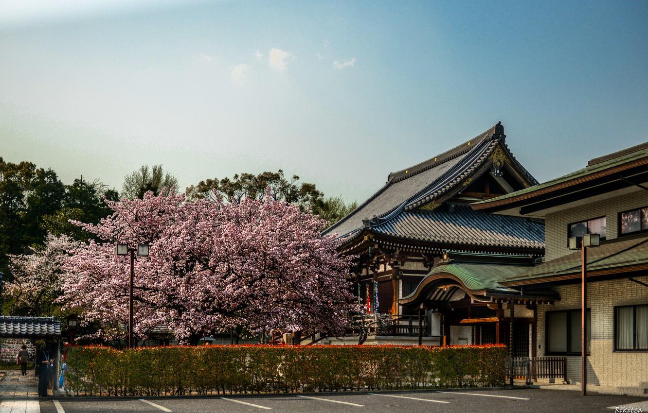 Nara Japan Wallpapers - Top Free Nara Japan Backgrounds - WallpaperAccess