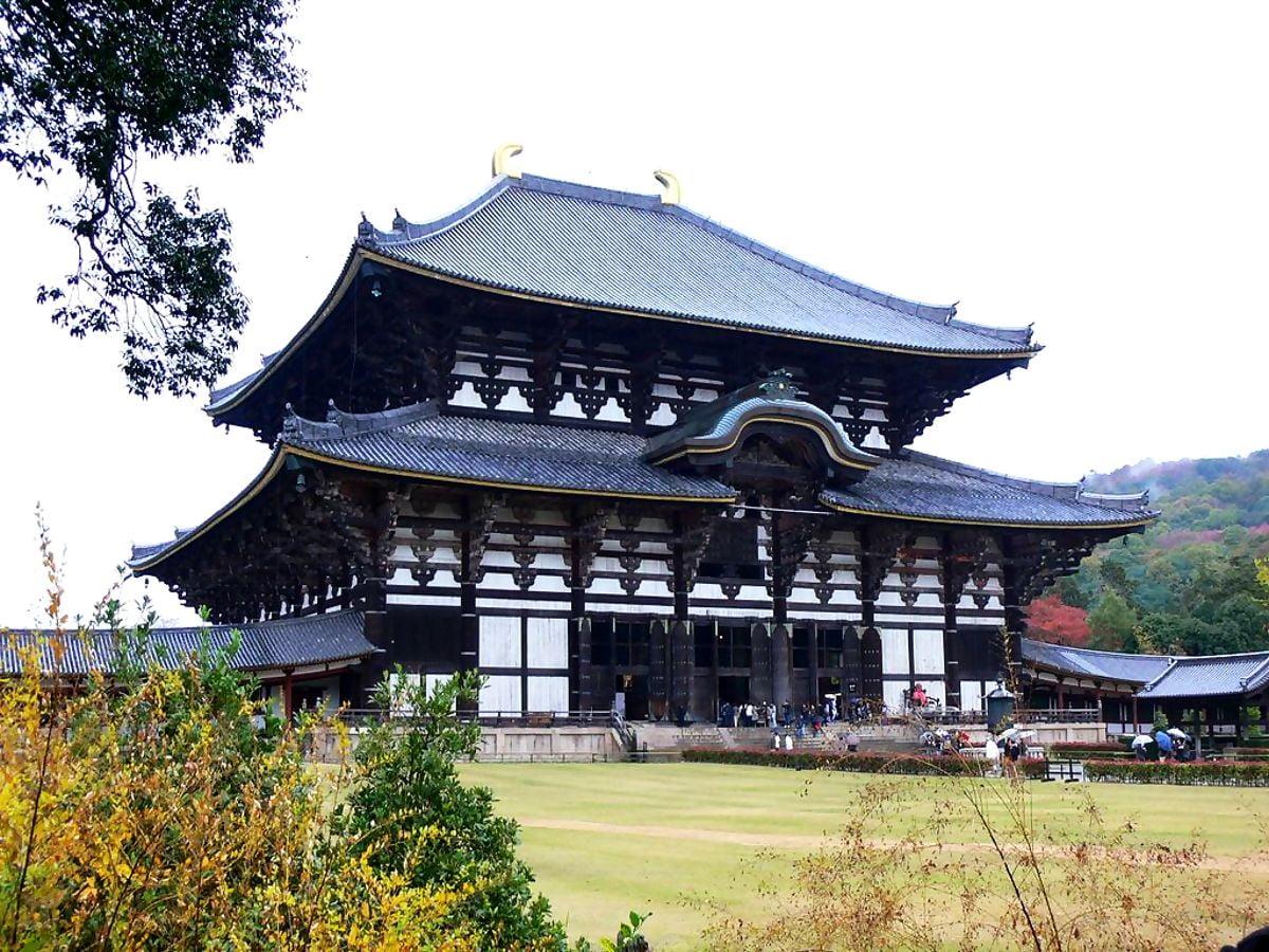 Nara Japan Wallpapers - Top Free Nara Japan Backgrounds - WallpaperAccess