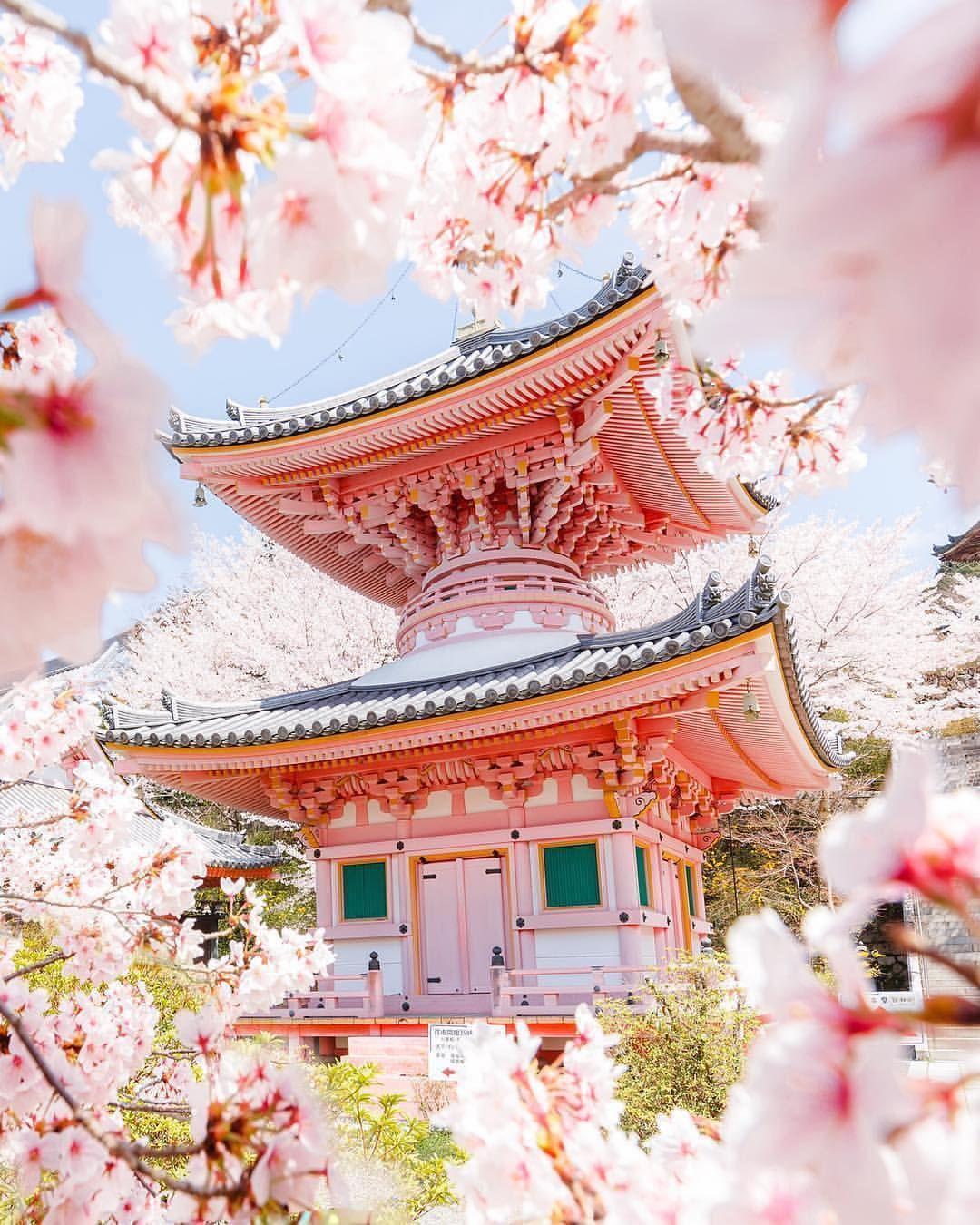 Nara Japan Wallpapers - Top Free Nara Japan Backgrounds - WallpaperAccess