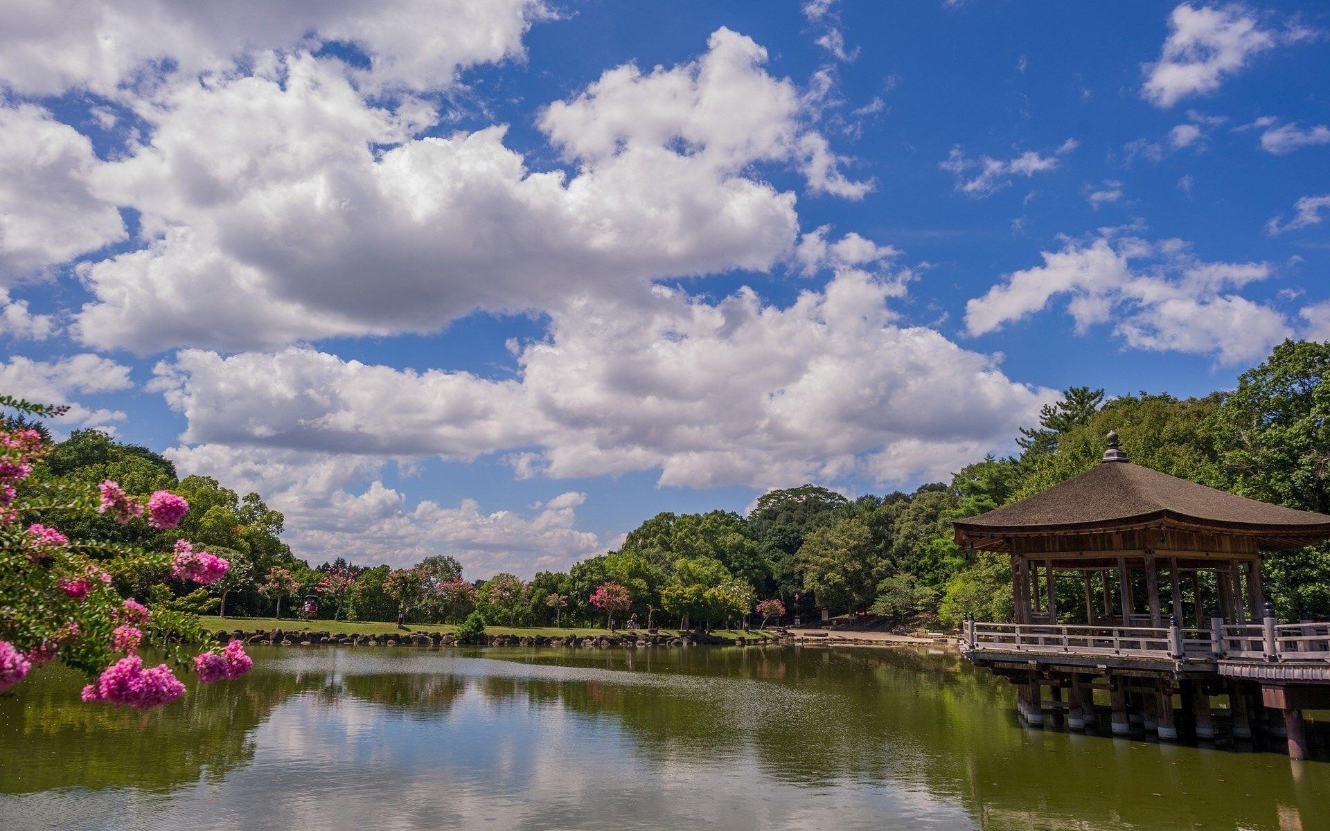 Nara Japan Wallpapers - Top Free Nara Japan Backgrounds - WallpaperAccess