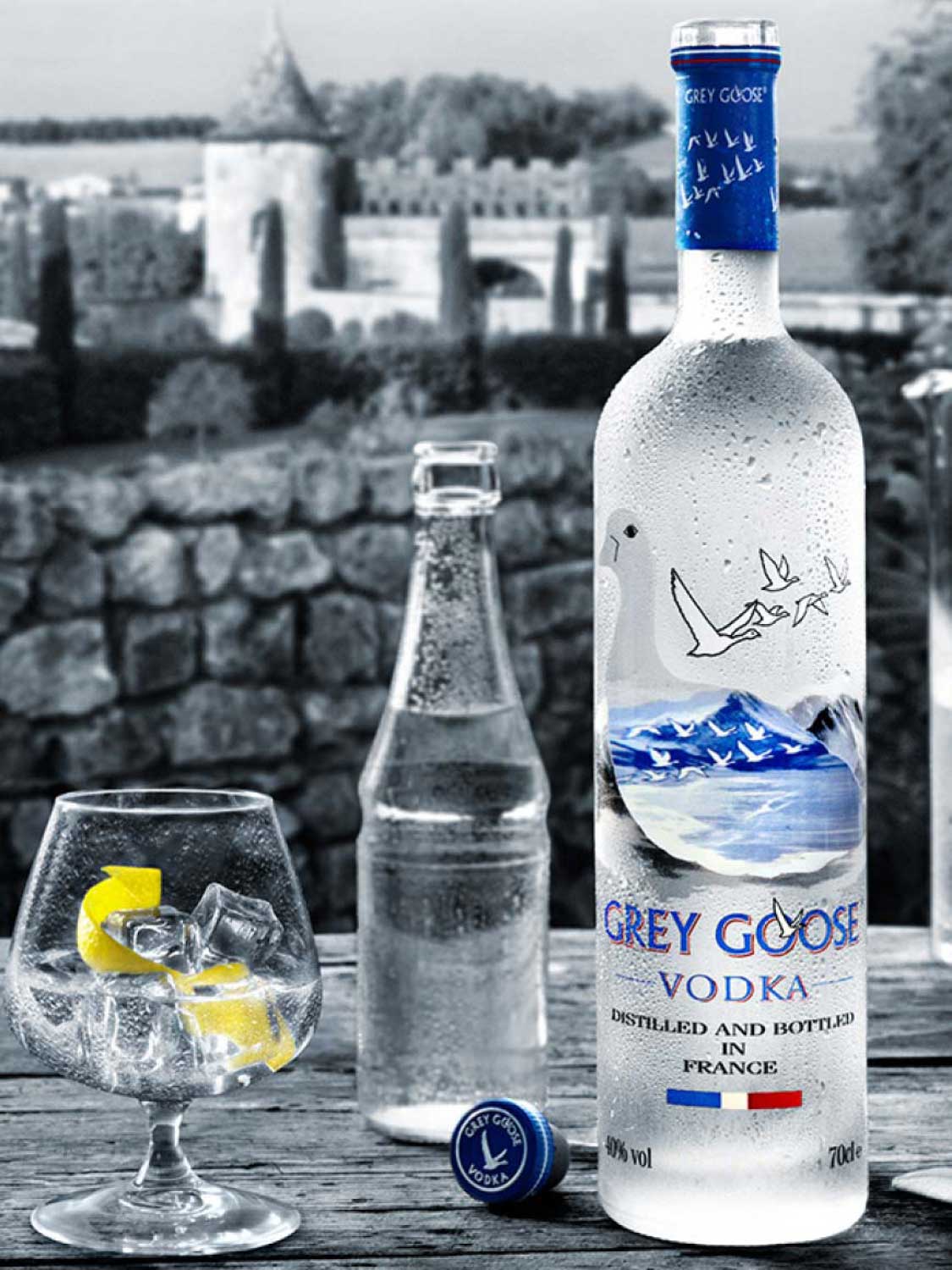 Grey Goose Wallpapers - Top Free Grey Goose Backgrounds - WallpaperAccess