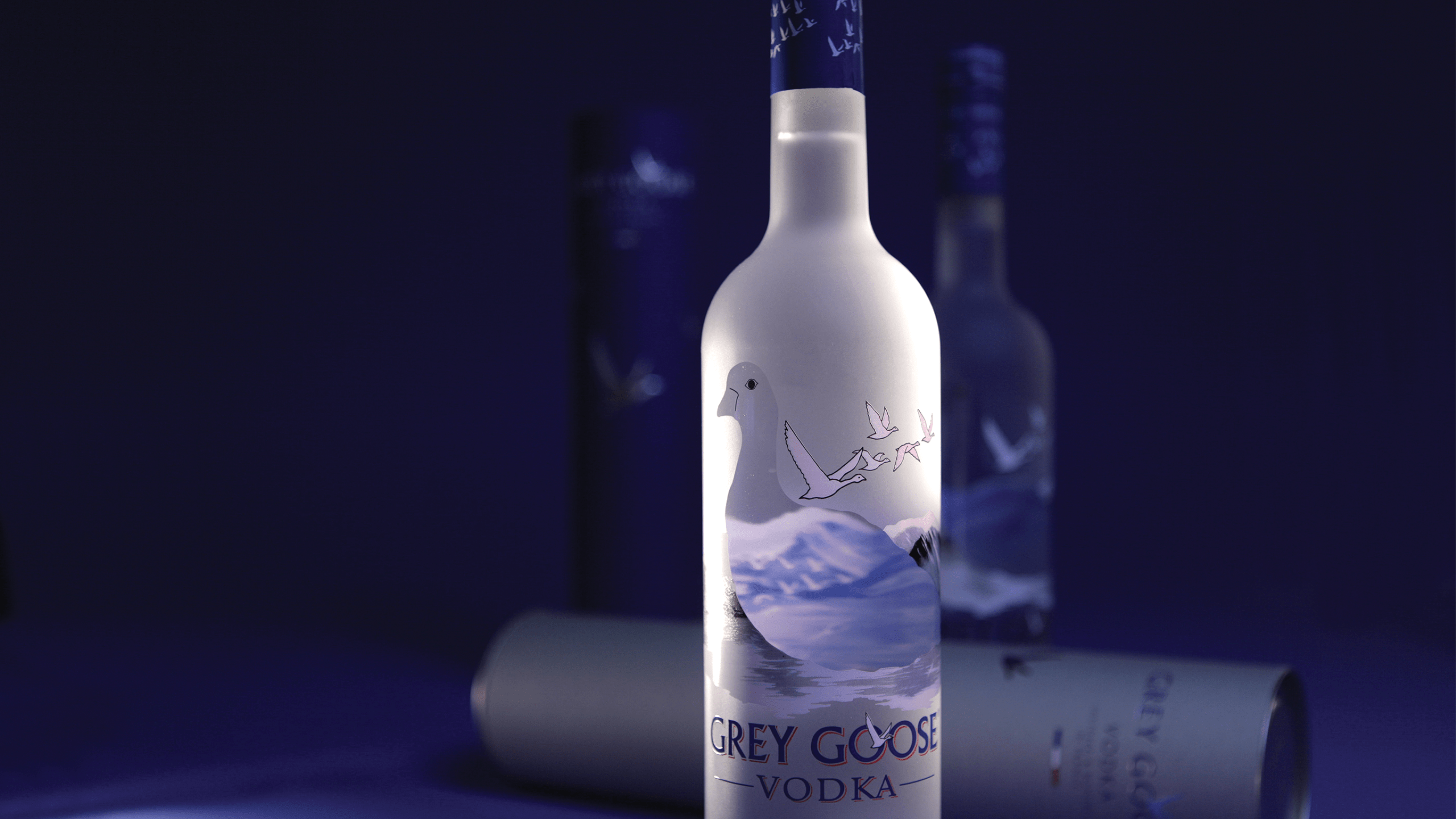 Grey Goose Wallpapers - Top Free Grey Goose Backgrounds - WallpaperAccess