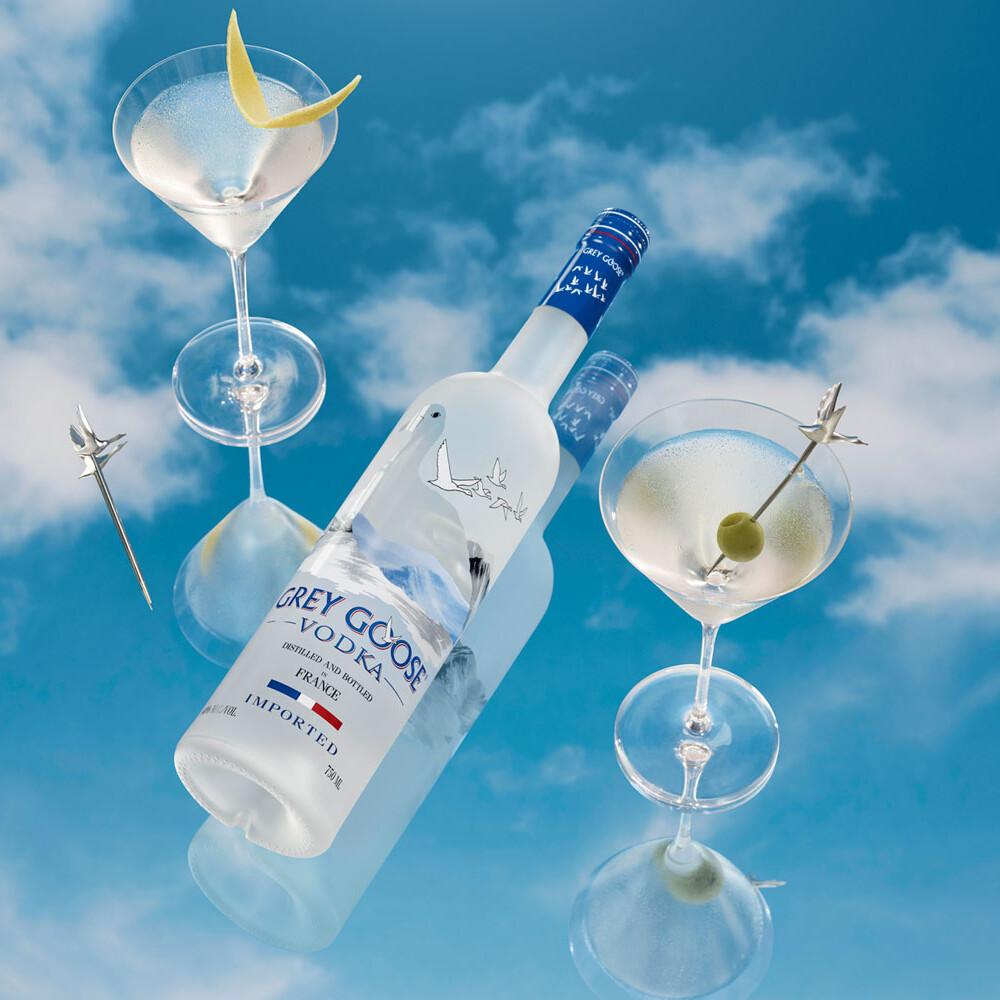 Grey Goose Wallpapers - Top Free Grey Goose Backgrounds - WallpaperAccess
