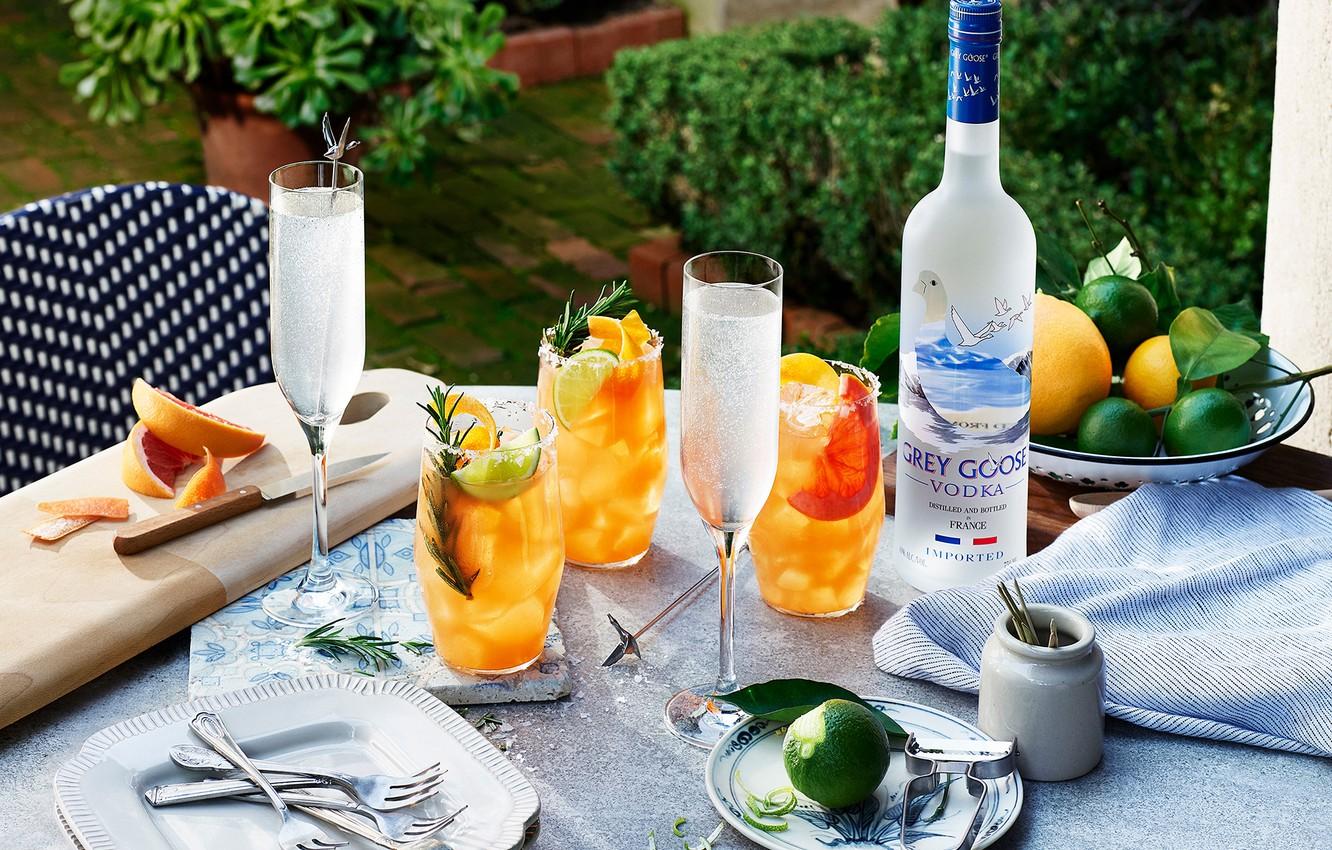Grey Goose Wallpapers - Top Free Grey Goose Backgrounds - WallpaperAccess