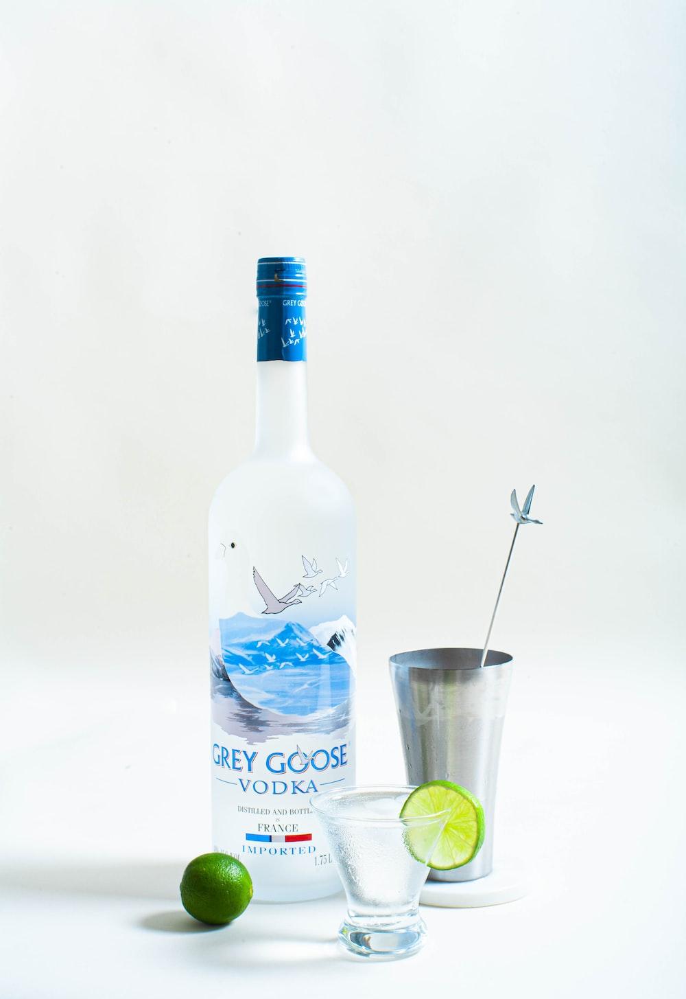 Grey Goose Wallpapers - Top Free Grey Goose Backgrounds - WallpaperAccess