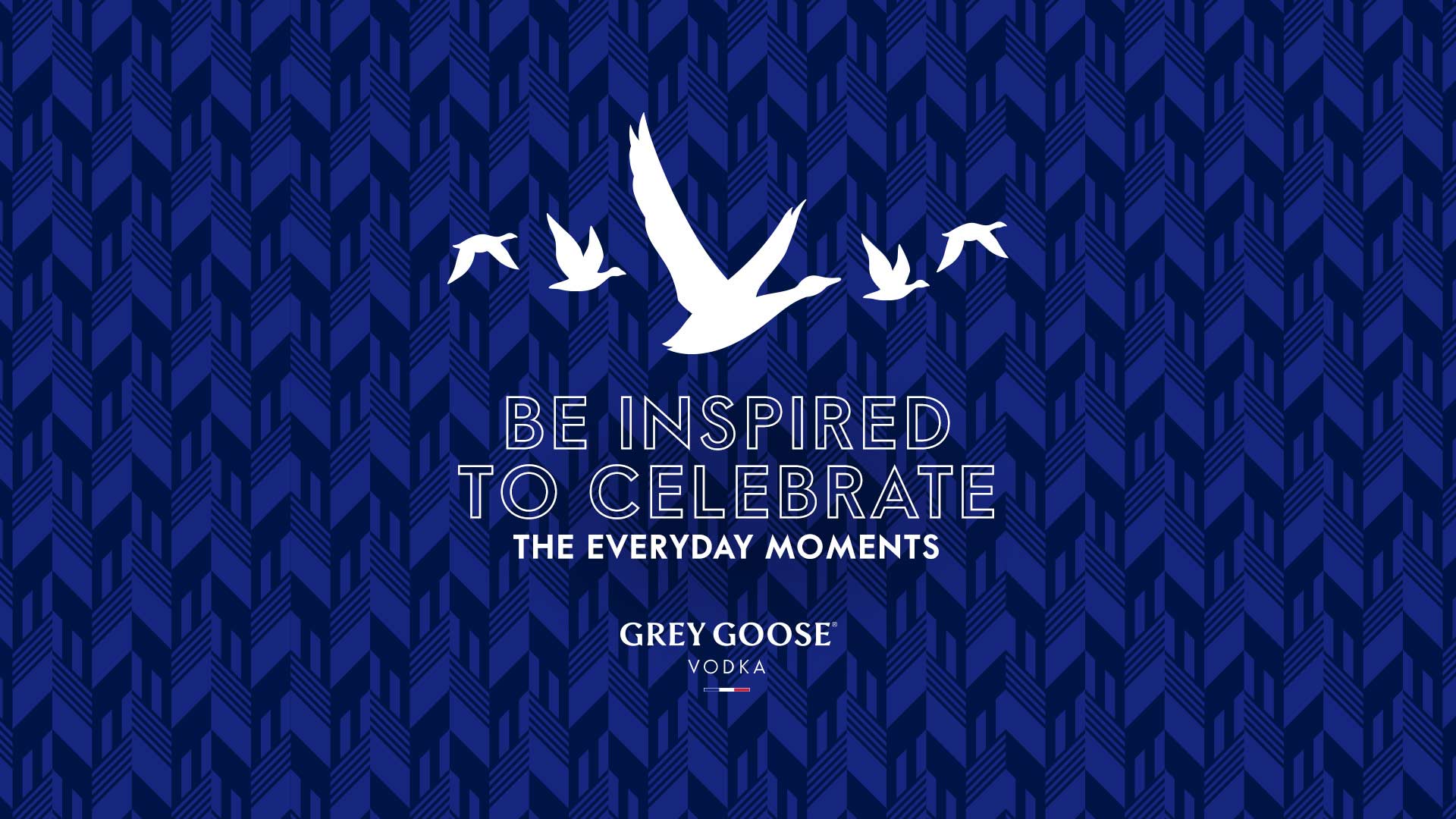 Grey Goose Wallpapers - Top Free Grey Goose Backgrounds - WallpaperAccess