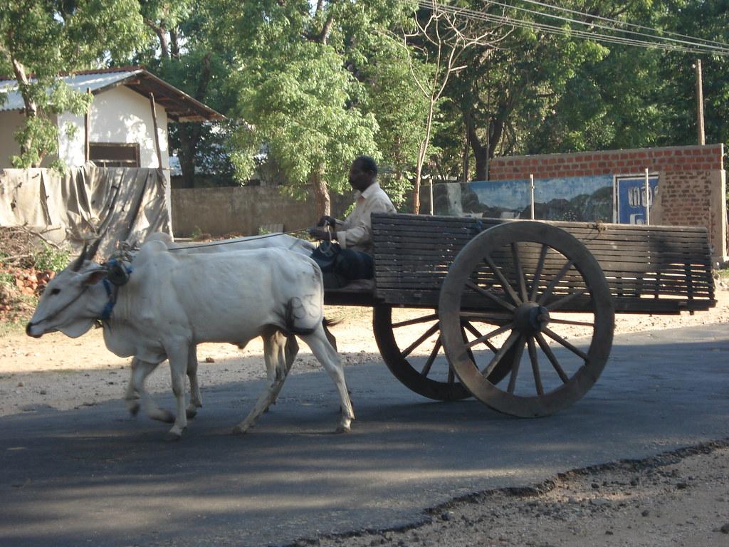 Bullock Cart Wallpapers - Top Free Bullock Cart Backgrounds ...