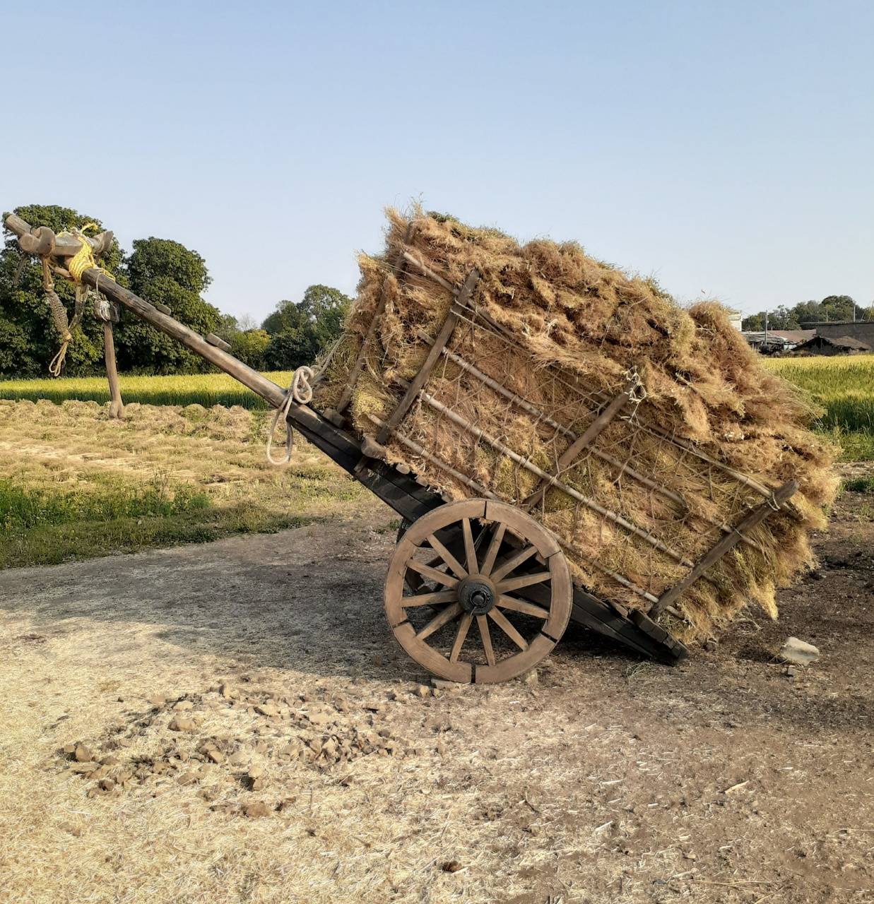 Bullock Cart Wallpapers - Top Free Bullock Cart Backgrounds ...
