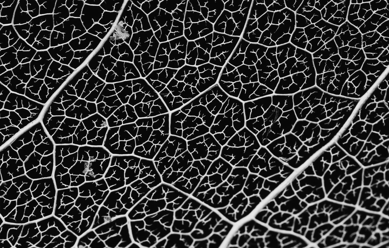 Nature Texture Wallpapers - Top Free Nature Texture Backgrounds ...