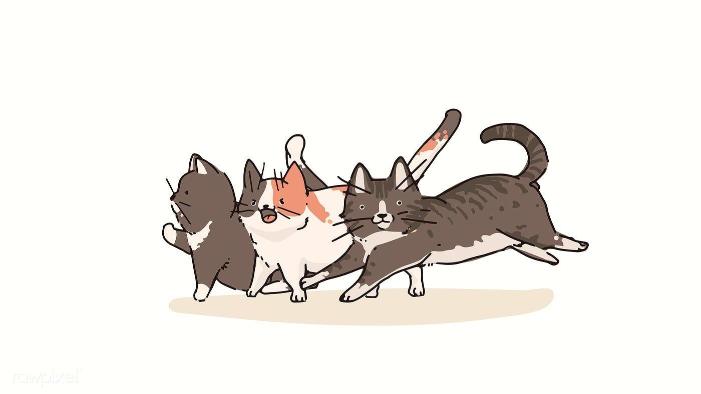 Munchkin Cat Wallpapers - Top Free Munchkin Cat Backgrounds ...