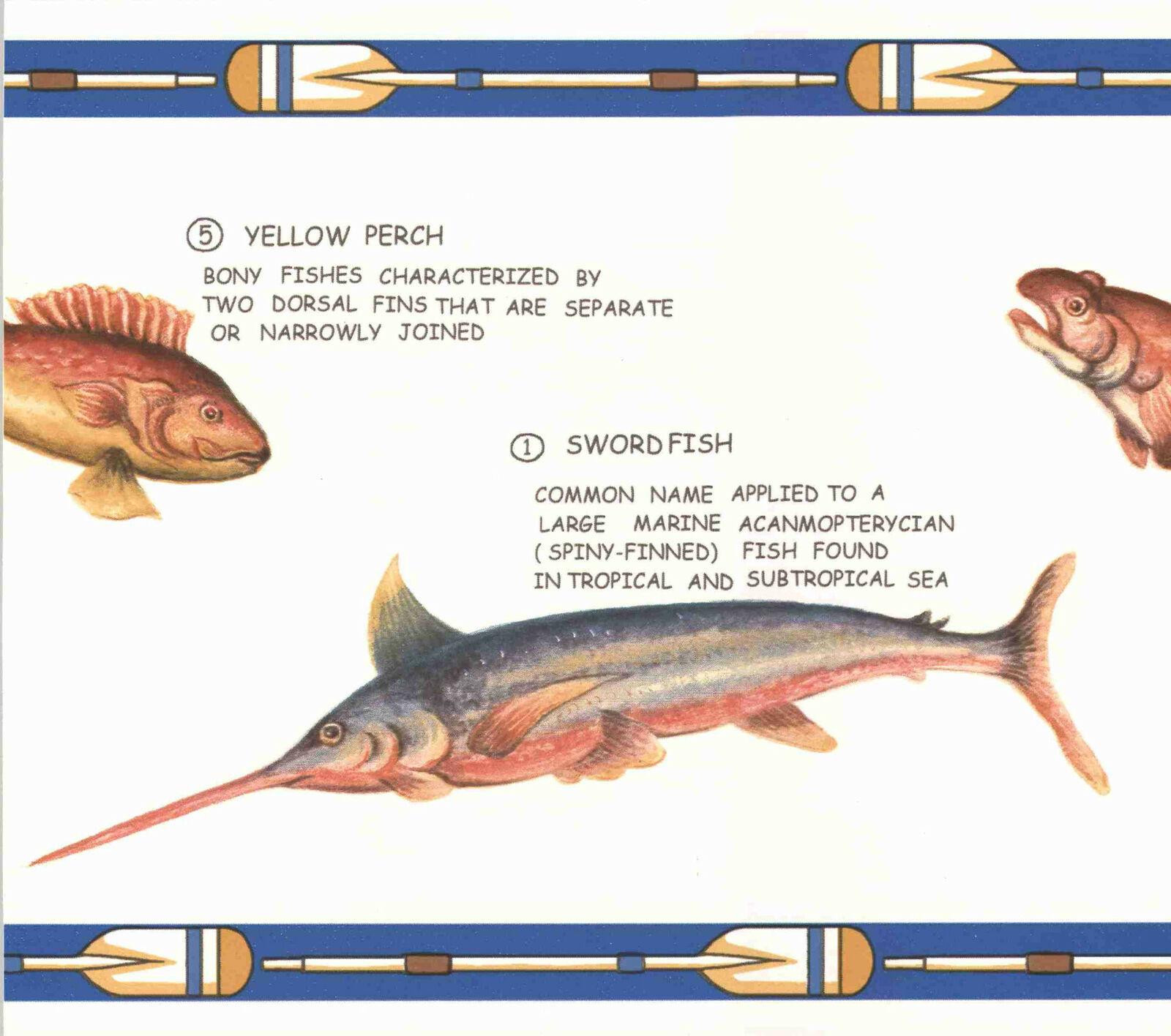 Mullet Wallpapers - Top Free Mullet Backgrounds - WallpaperAccess