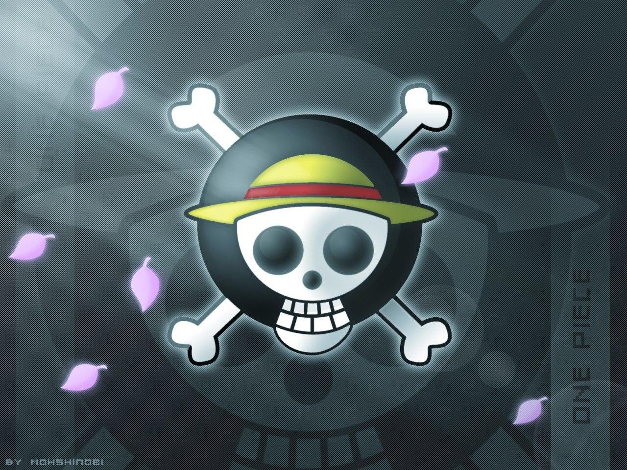 Zero One Piece Wallpapers - Top Free Zero One Piece Backgrounds ...