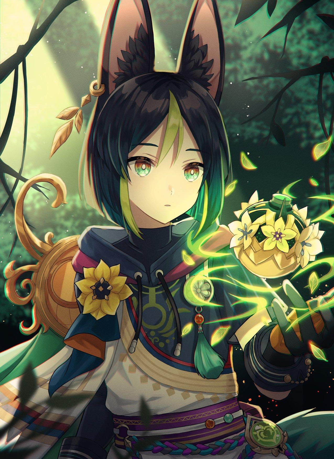 Tighnari Wallpapers - Top Free Tighnari Backgrounds - WallpaperAccess