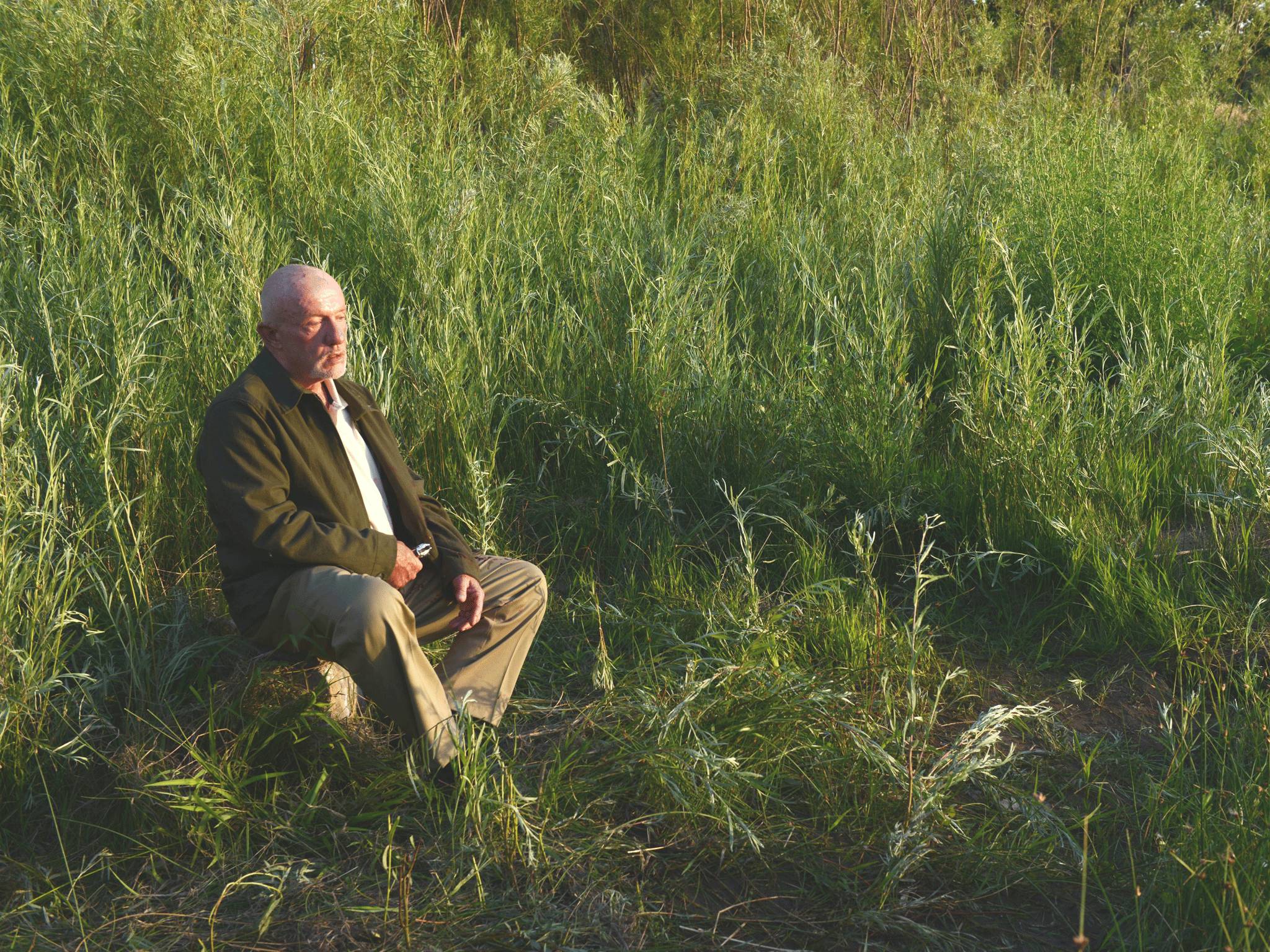 Mike Breaking Bad Wallpapers - Top Free Mike Breaking Bad Backgrounds ...