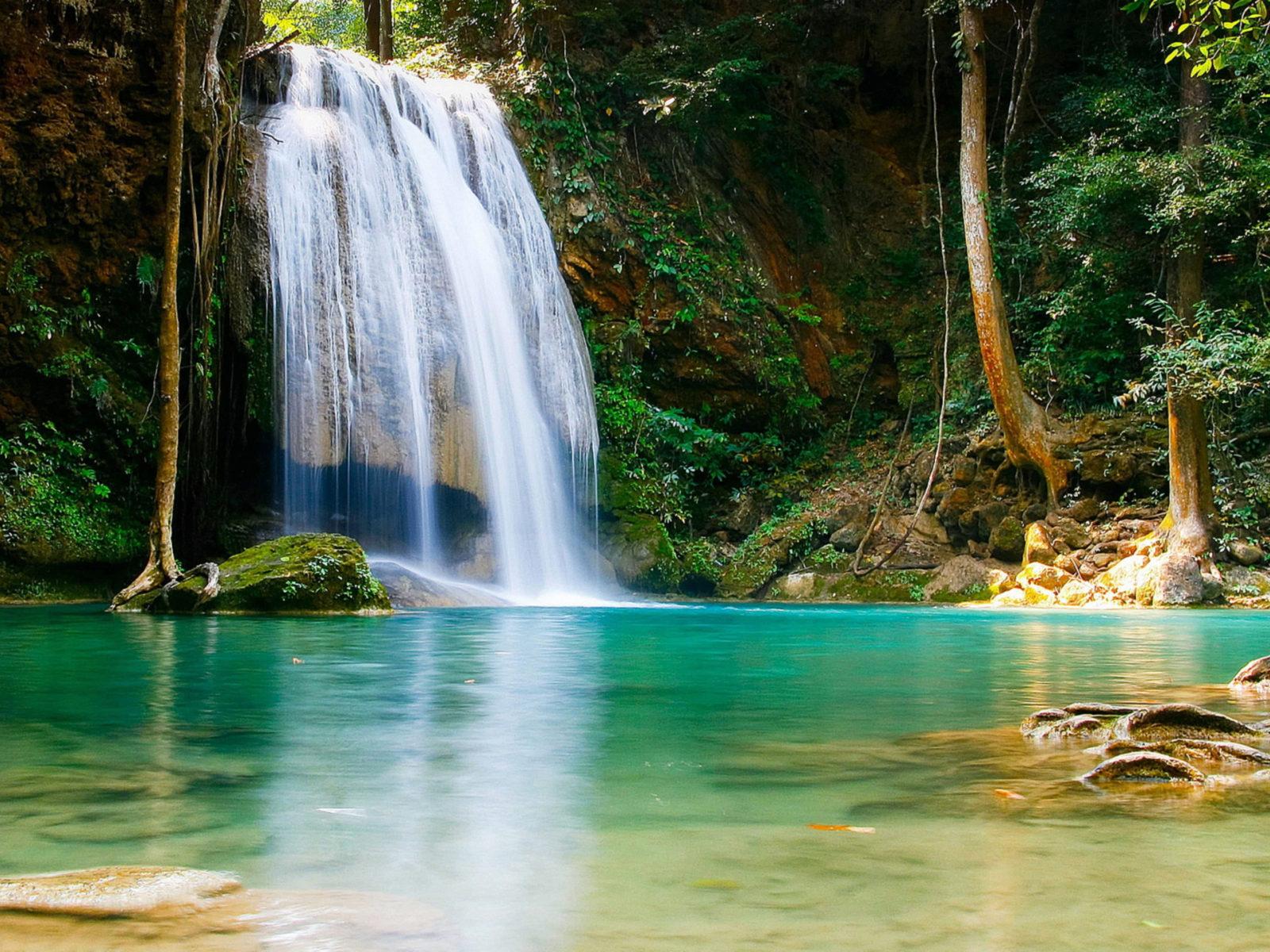 Nechar Wallpapers - Top Free Nechar Backgrounds - WallpaperAccess