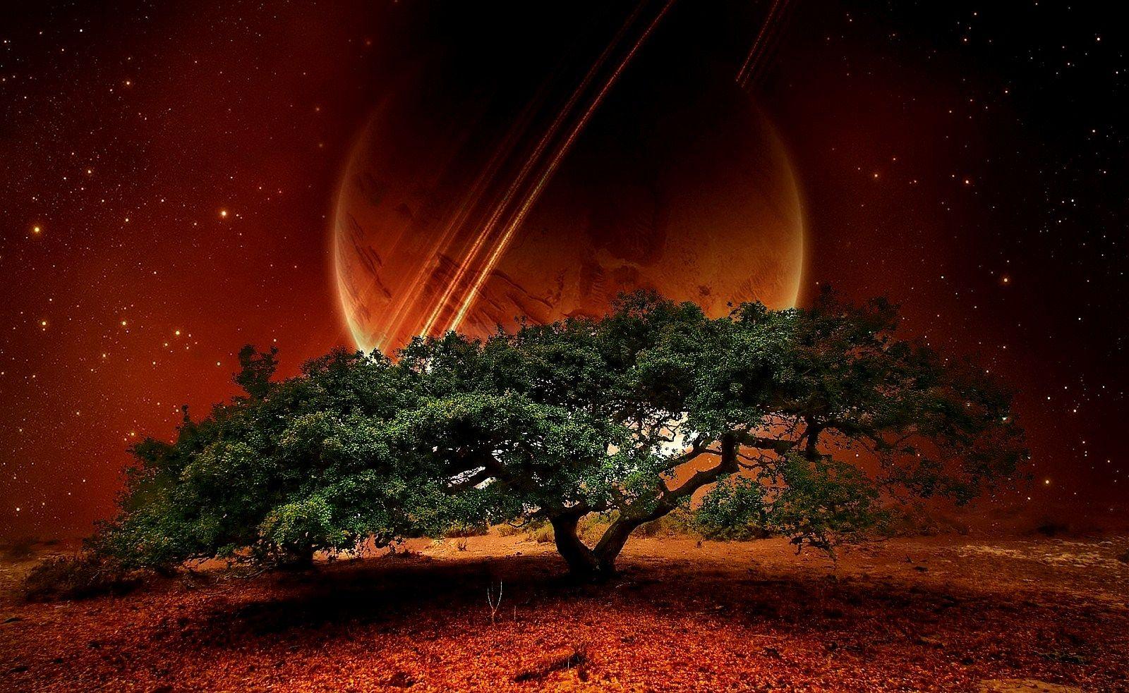 Nechar Wallpapers - Top Free Nechar Backgrounds - WallpaperAccess